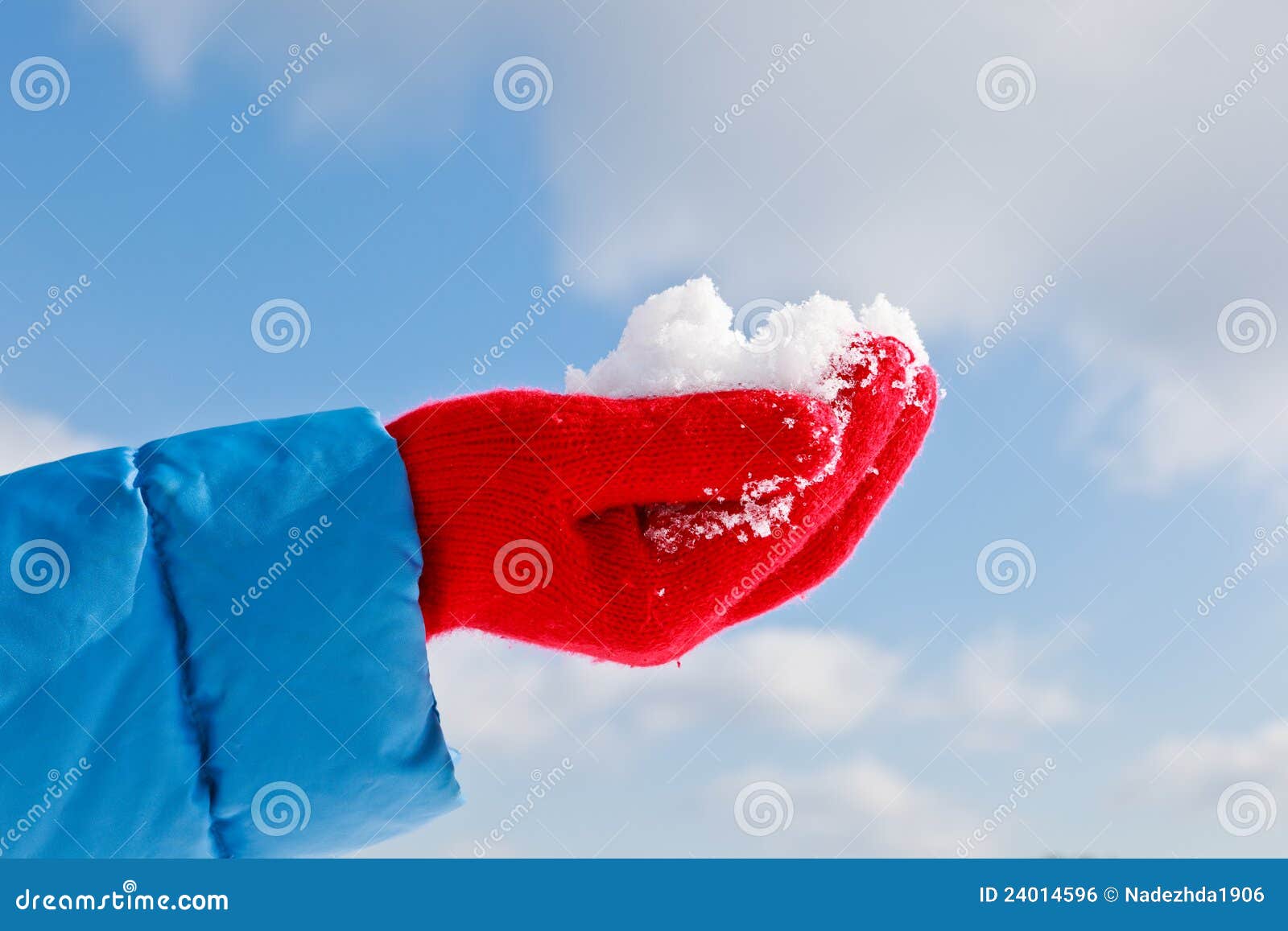 Hand with snow stock photo. Image of january, outdoors - 24014596