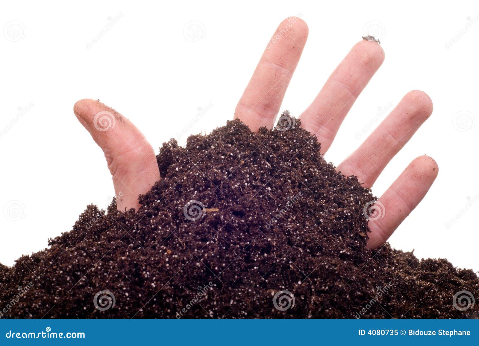 Hand in soil stock image. Image of concept, plant, hidden - 4080735