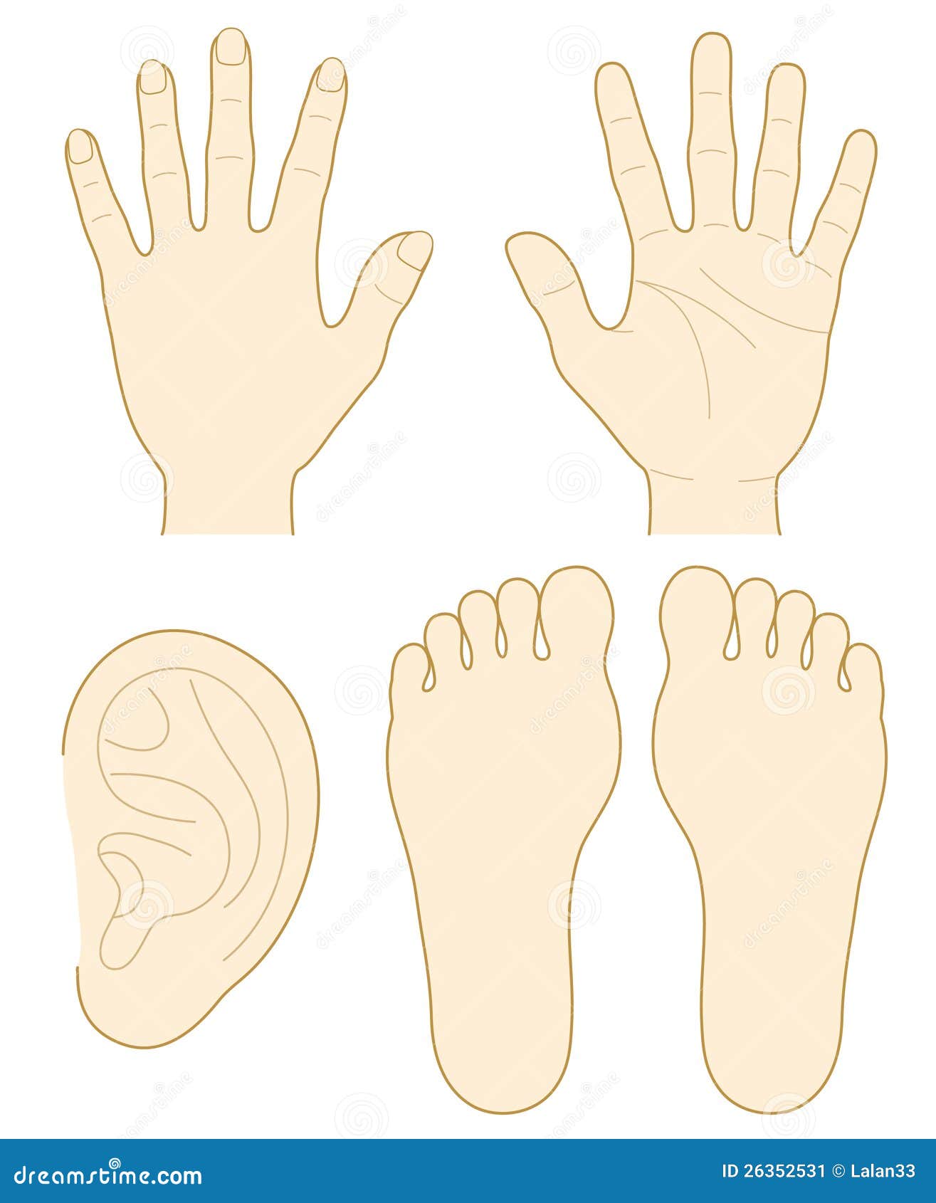 Hand, the Sole of a Foot, Ear Stock Vector - Illustration of external ...