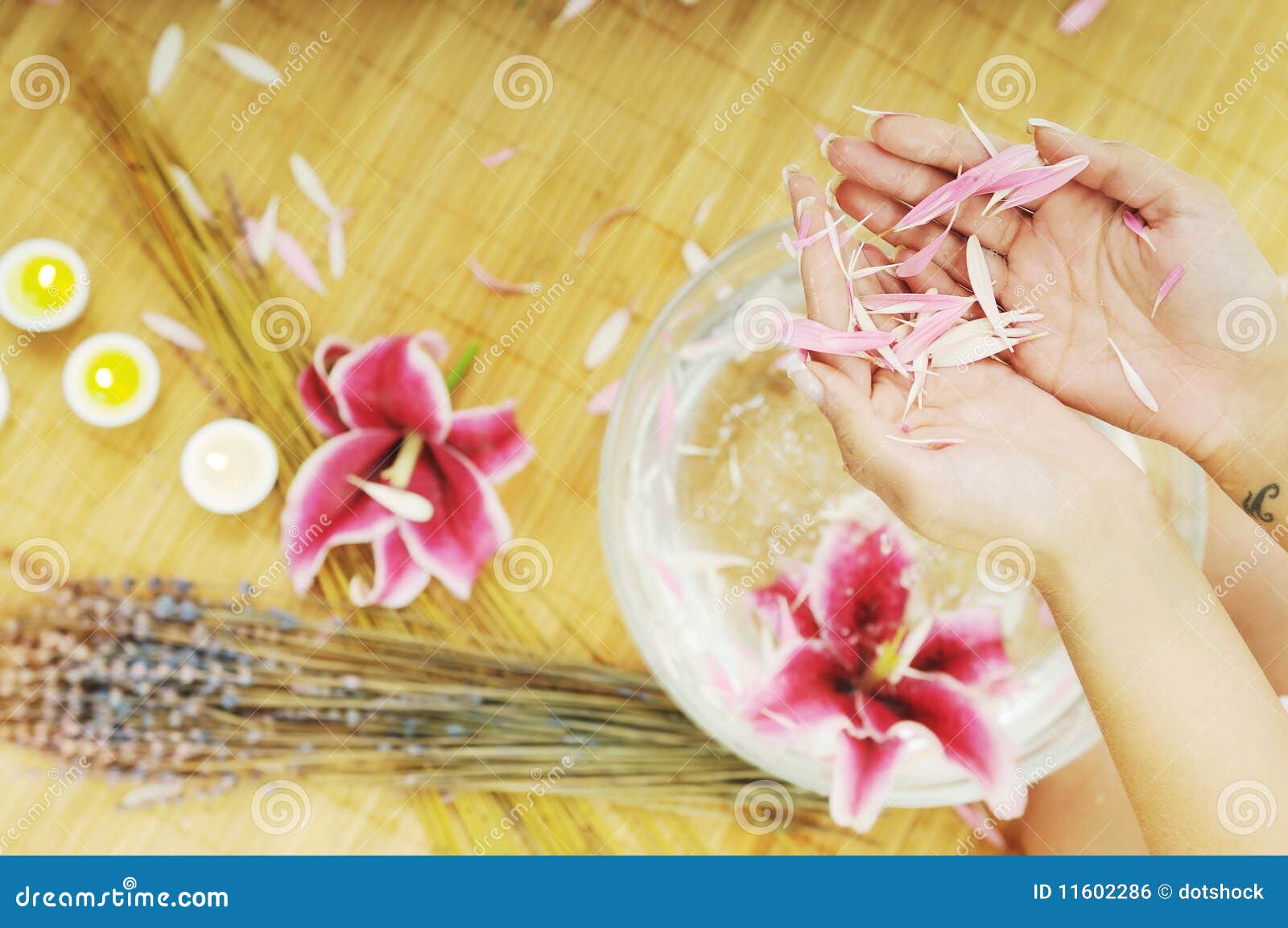 Hand Spa and Beauty Treatment Stock Photo - Image of manicure, body ...