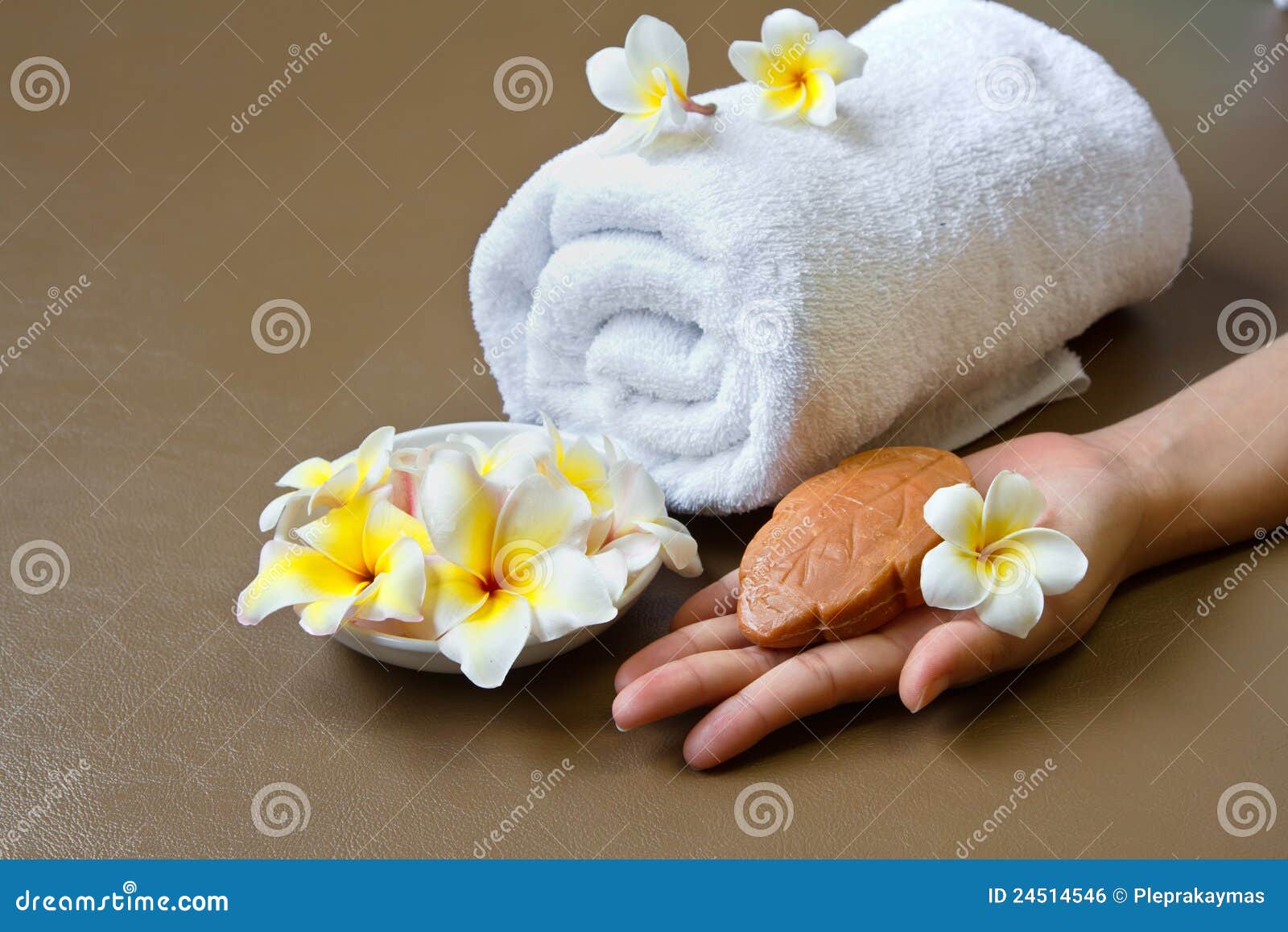 Hand with spa setting stock photo. Image of beauty, leaf - 24514546