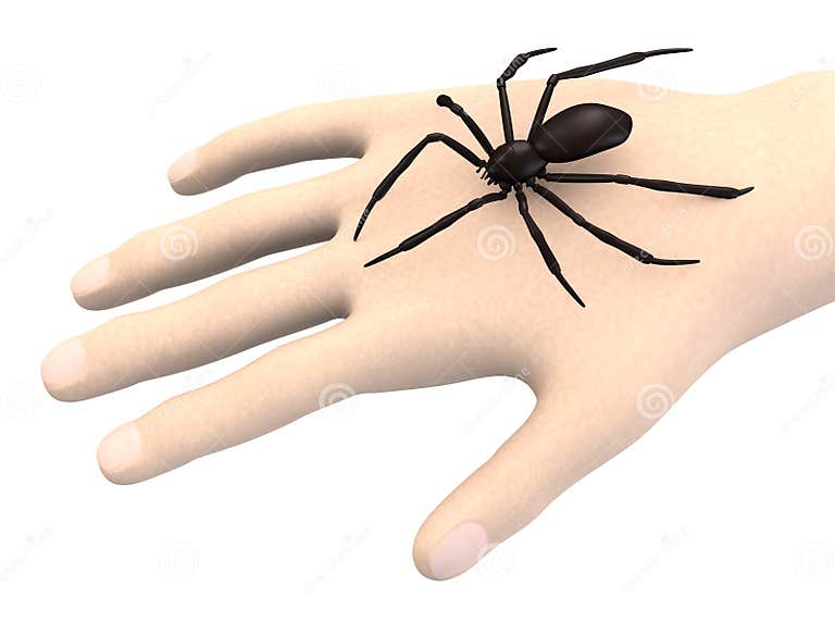 Hand with spider stock illustration. Illustration of male - 24851603