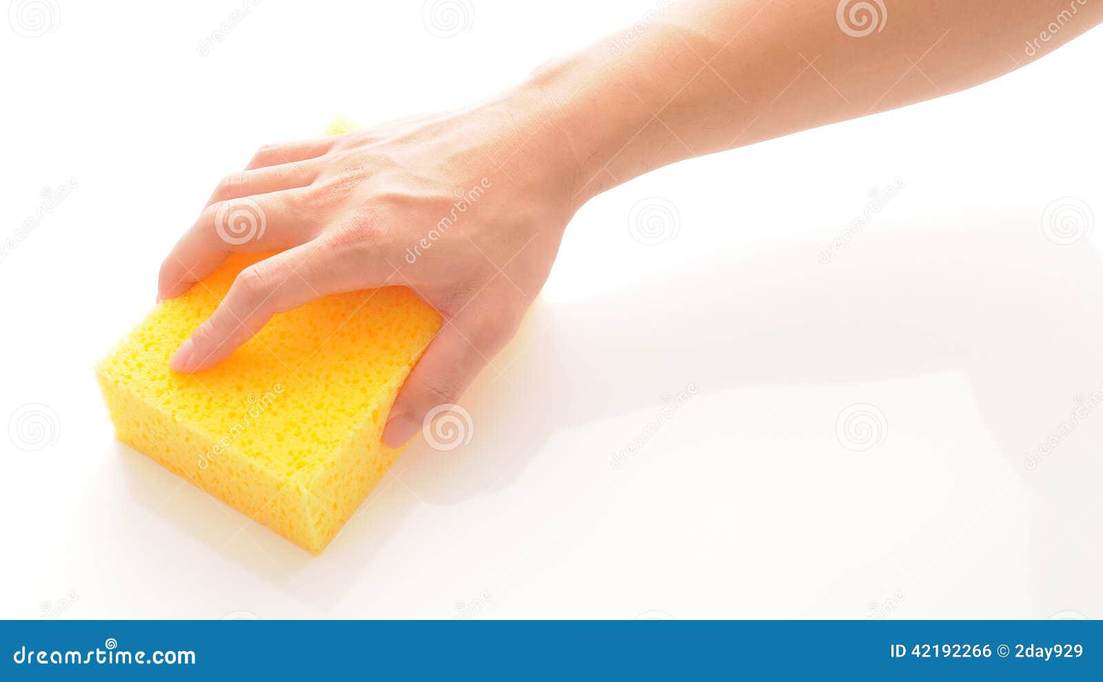 3,302 Sponge Banner Stock Photos - Free & Royalty-Free Stock Photos ...