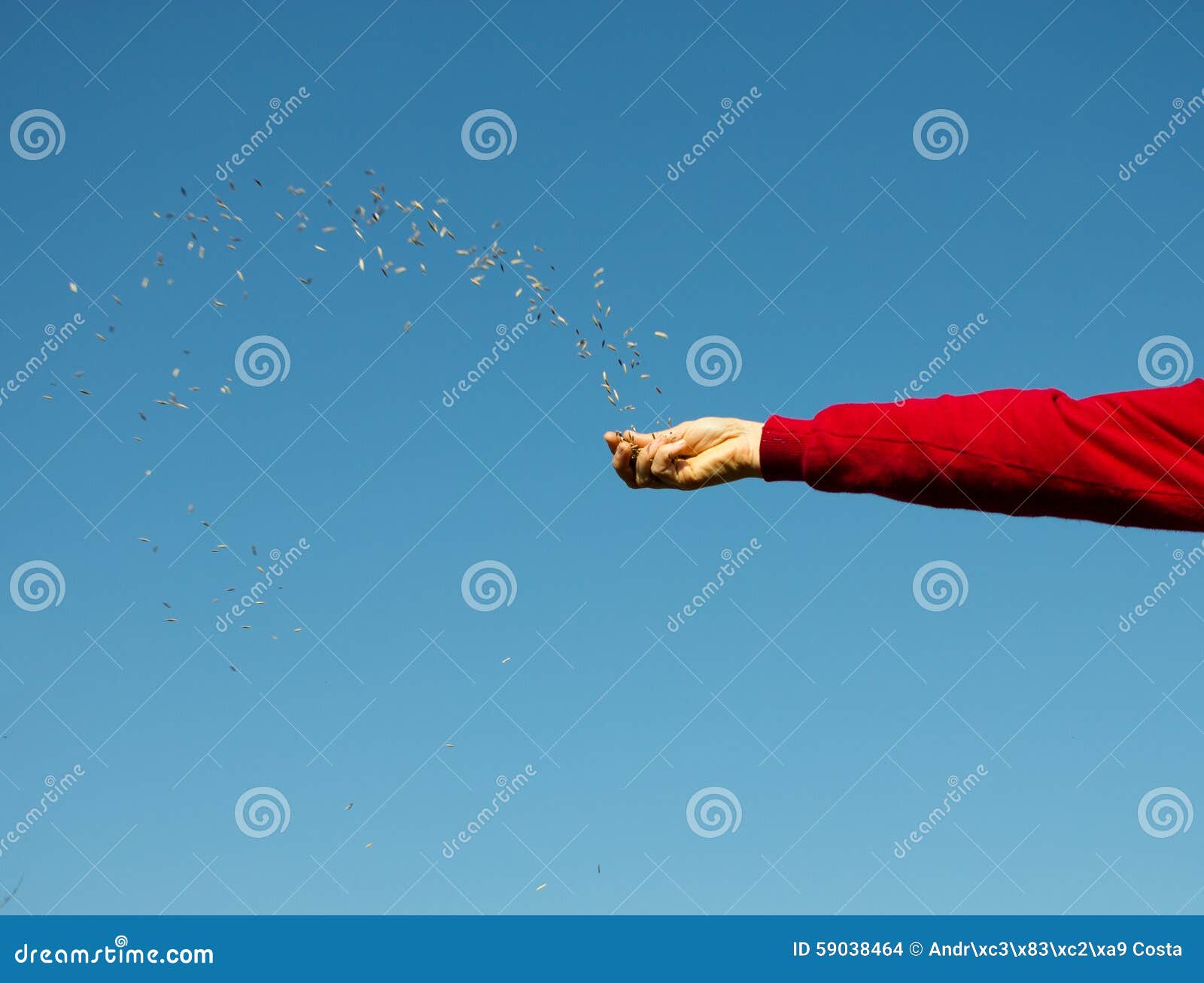 Hand Spreading Seeds stock photo. Image of worker, drop - 59038464