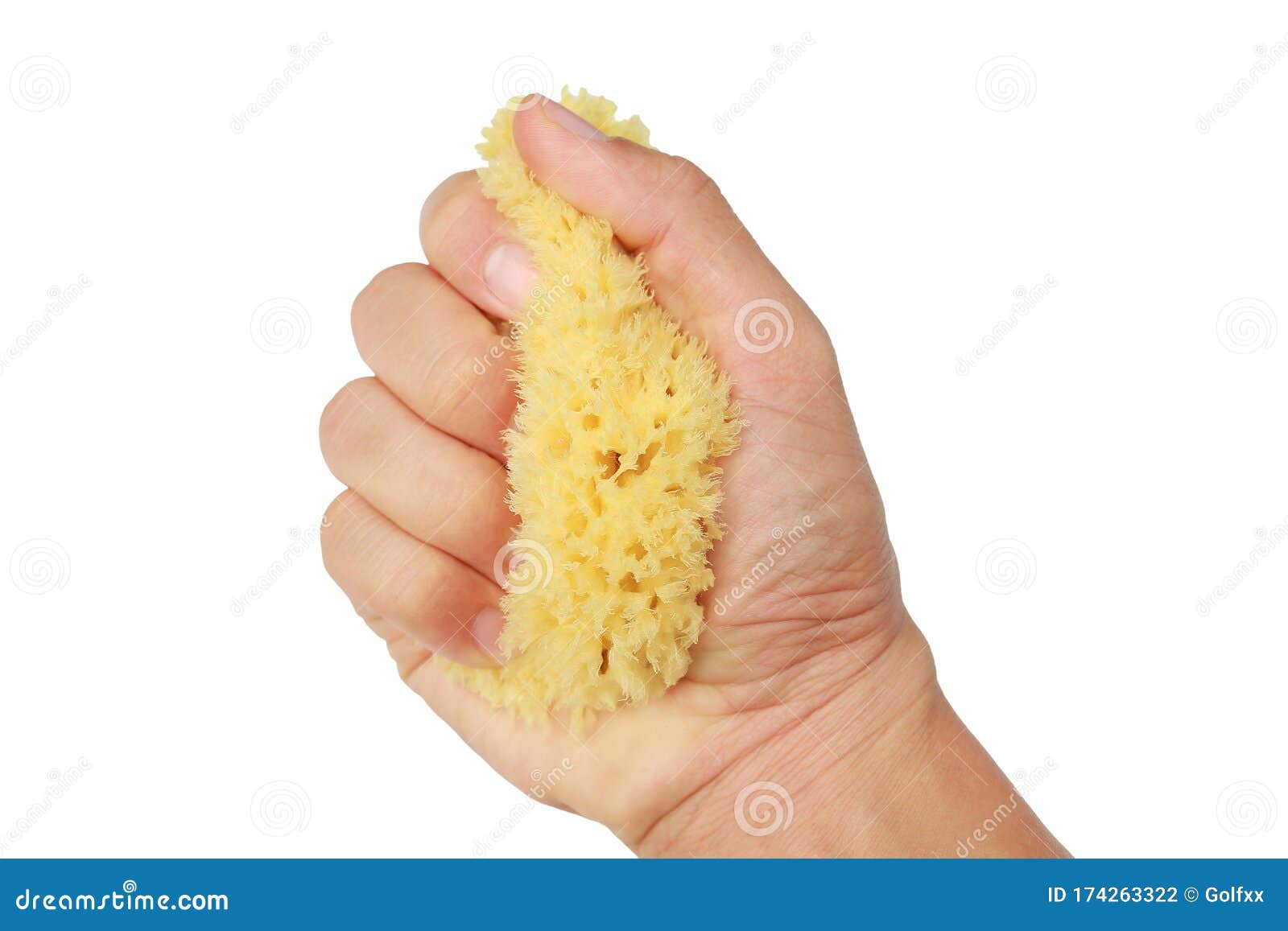 Hand Squeezing Natural Sponge Isolated on White Background Stock Photo ...