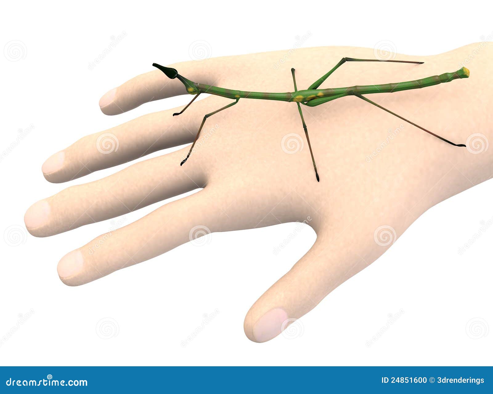 Hand with stick insect stock illustration. Illustration of hold - 24851600