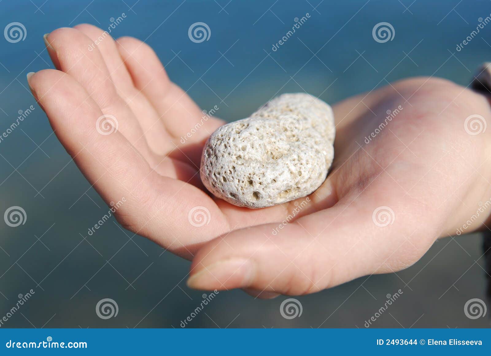 Hand with stone stock photo. Image of hold, pebble, outdoors - 2493644