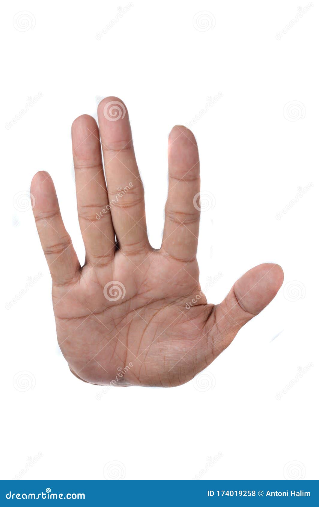 Hand stop sign stock photo. Image of fingers, male, palm - 174019258