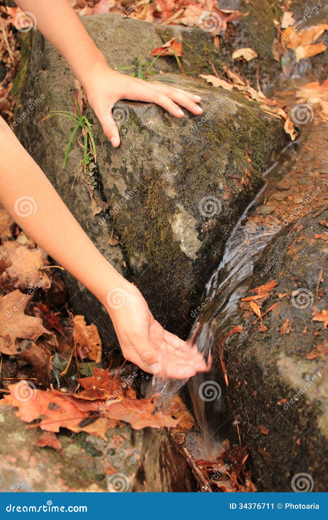 Hand in the stream stock image. Image of mountain, canada - 34376711