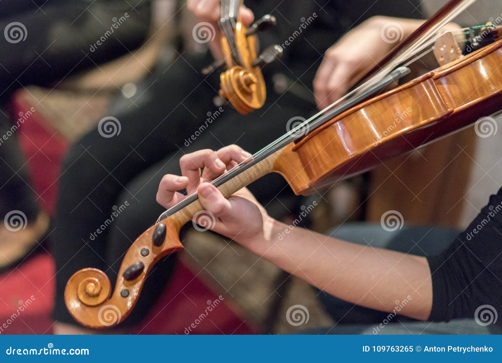 Hand on the Strings of a Violin Stock Image - Image of bachi, finger ...