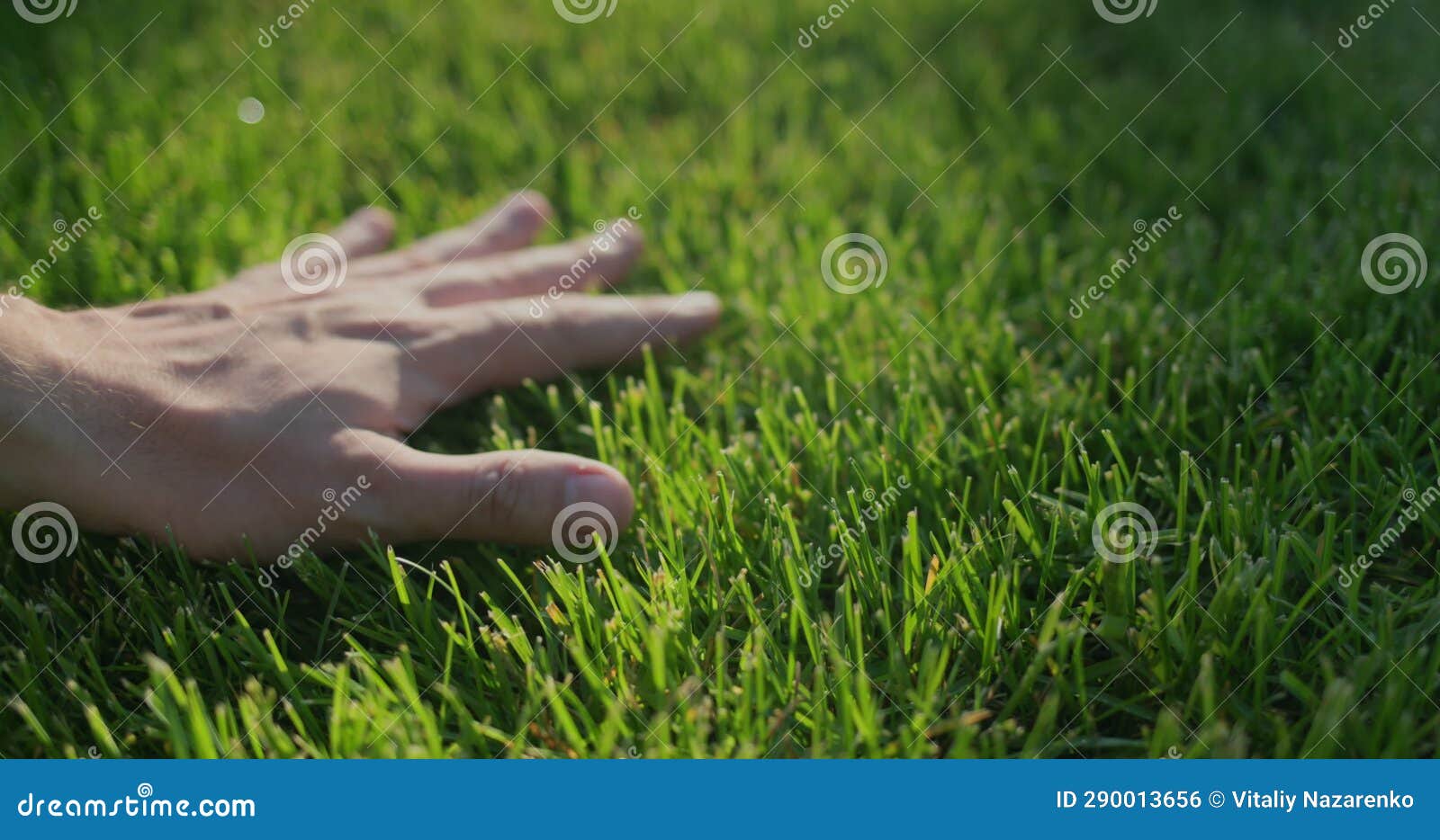Hand Strokes Evenly Cut Grass on the Lawn Stock Footage - Video of ...