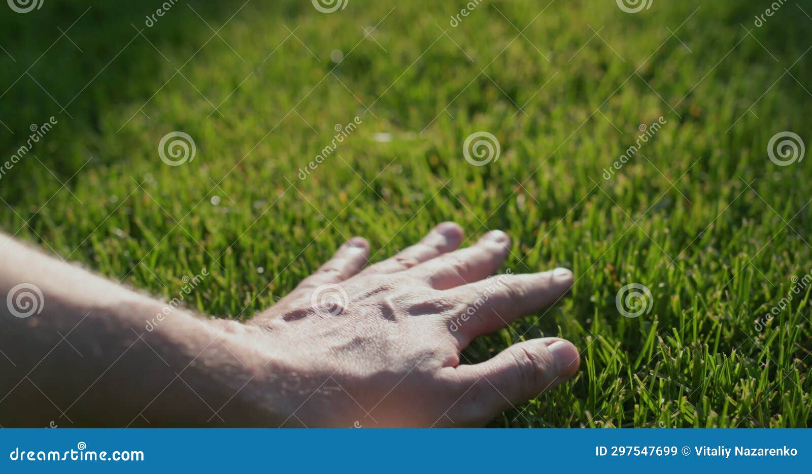 Hand Strokes Evenly Cut Grass on the Lawn Stock Video - Video of ...