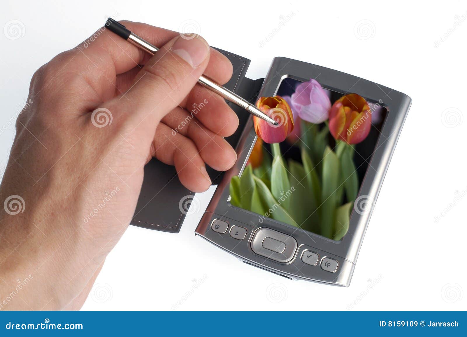 Hand with Stylus and Laptop Stock Image - Image of cell, organizer: 8159109