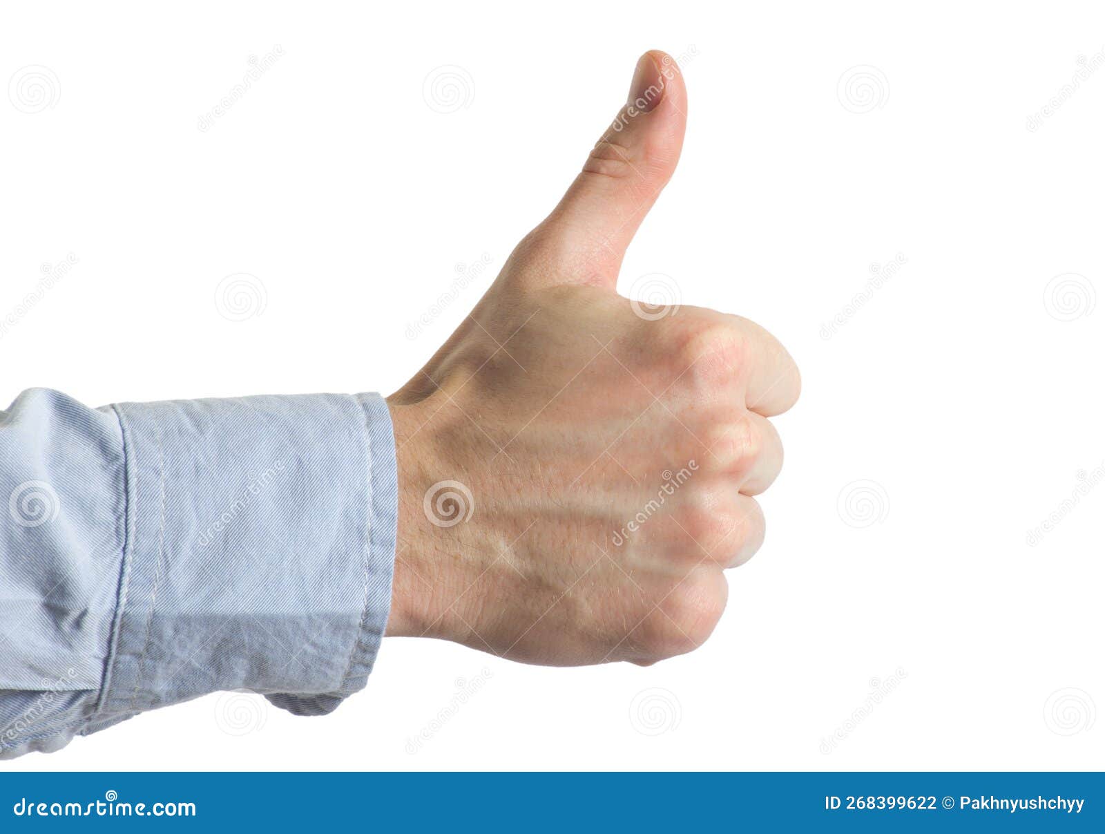 Hand stock photo. Image of wrist, fourth, hand, success - 268399622