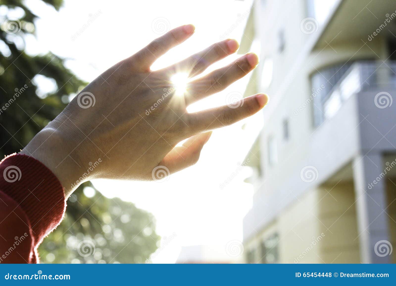 Hand in the sun stock photo. Image of girl, flare, woman - 65454448