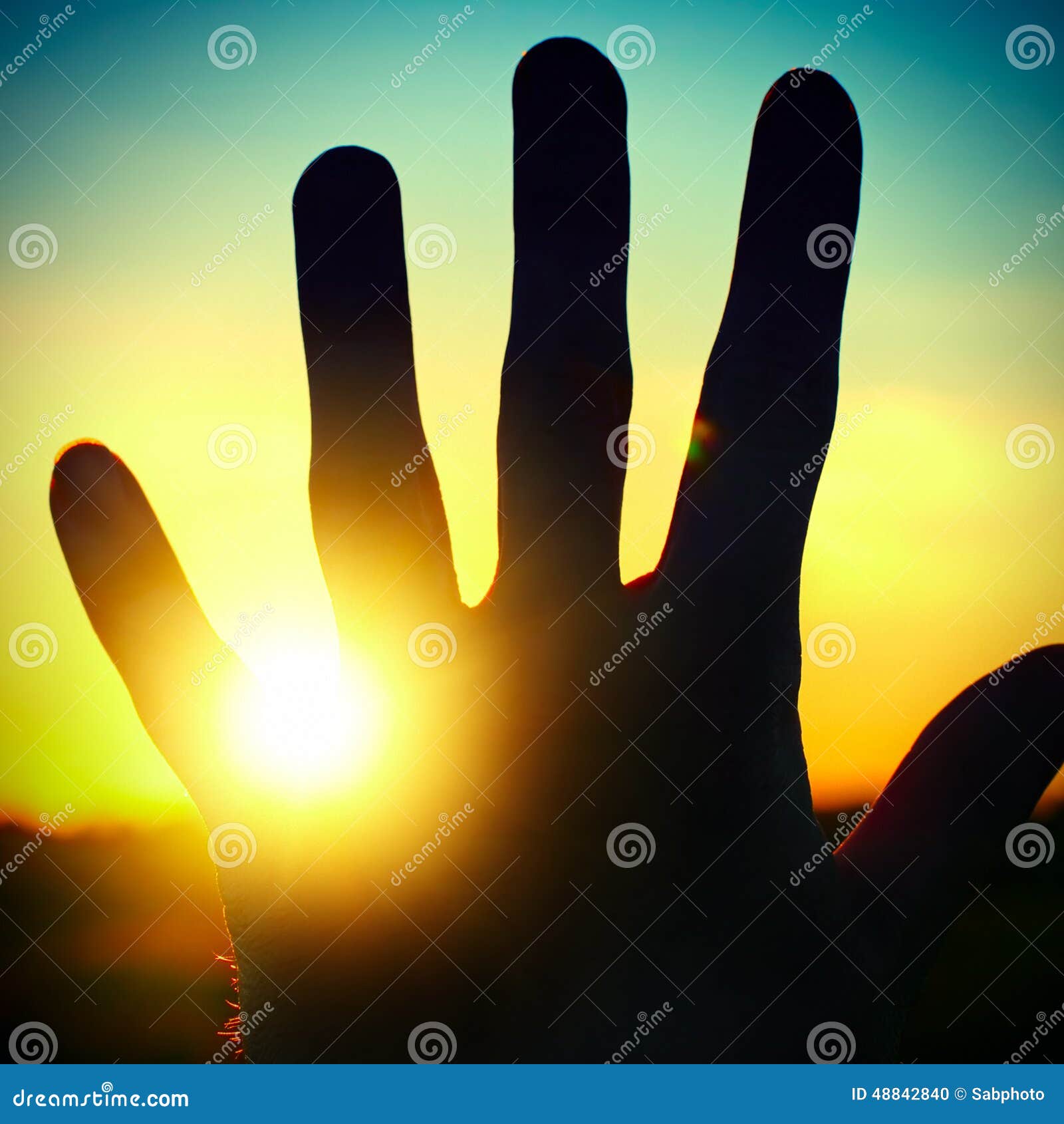 Hand on Sunset Background stock photo. Image of hand - 48842840