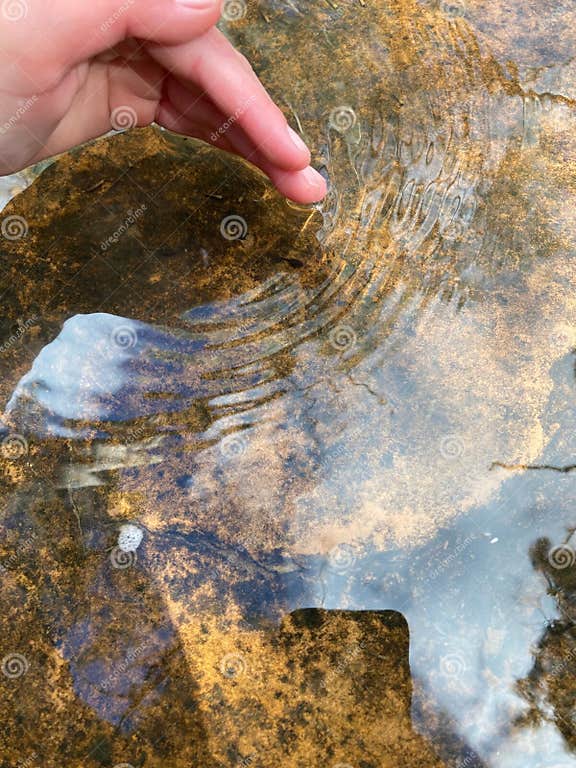 Hand on the Surface of the Water Ripples in the Water Stock Image ...