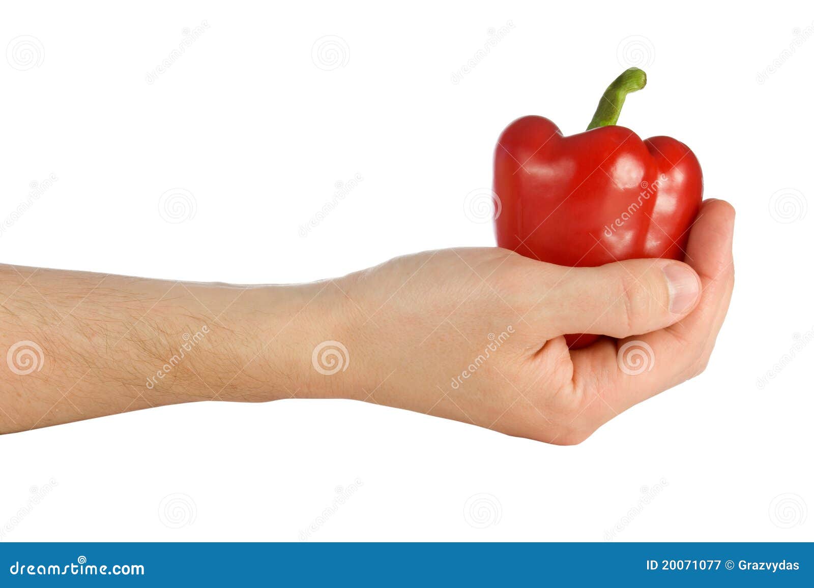 Hand with a sweet pepper. stock image. Image of health - 20071077