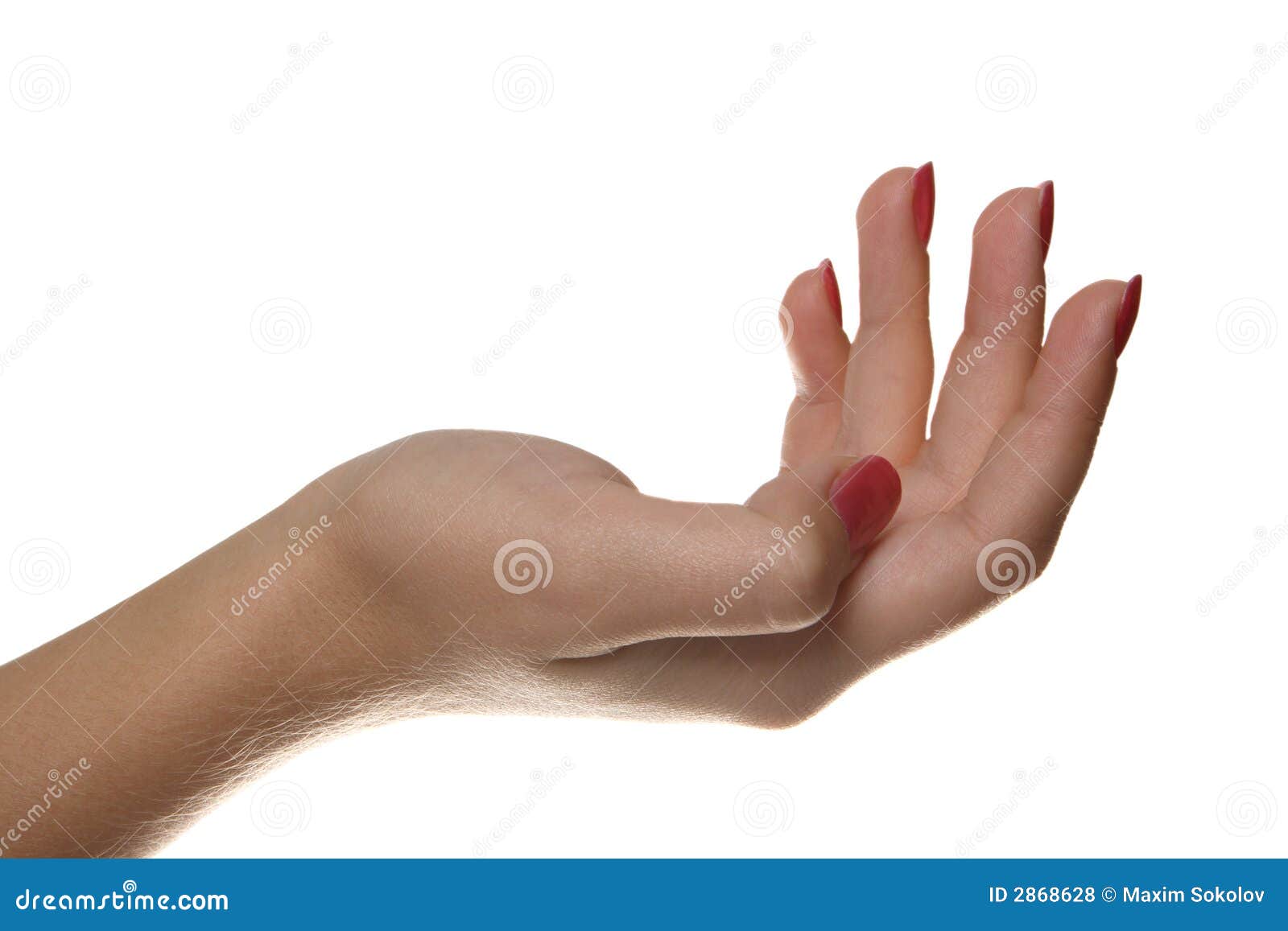 Hand Symbol. Finger Crossed Hand Sign, Good Luck Symbol Isolated On ...