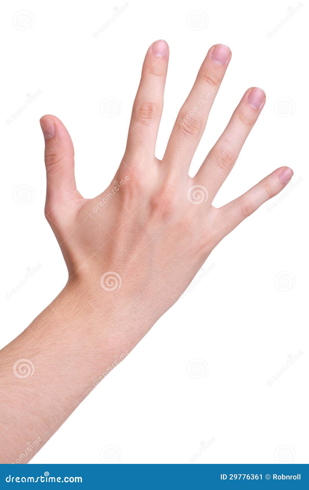Hand Symbol that Means Five on White Background Stock Image - Image of ...