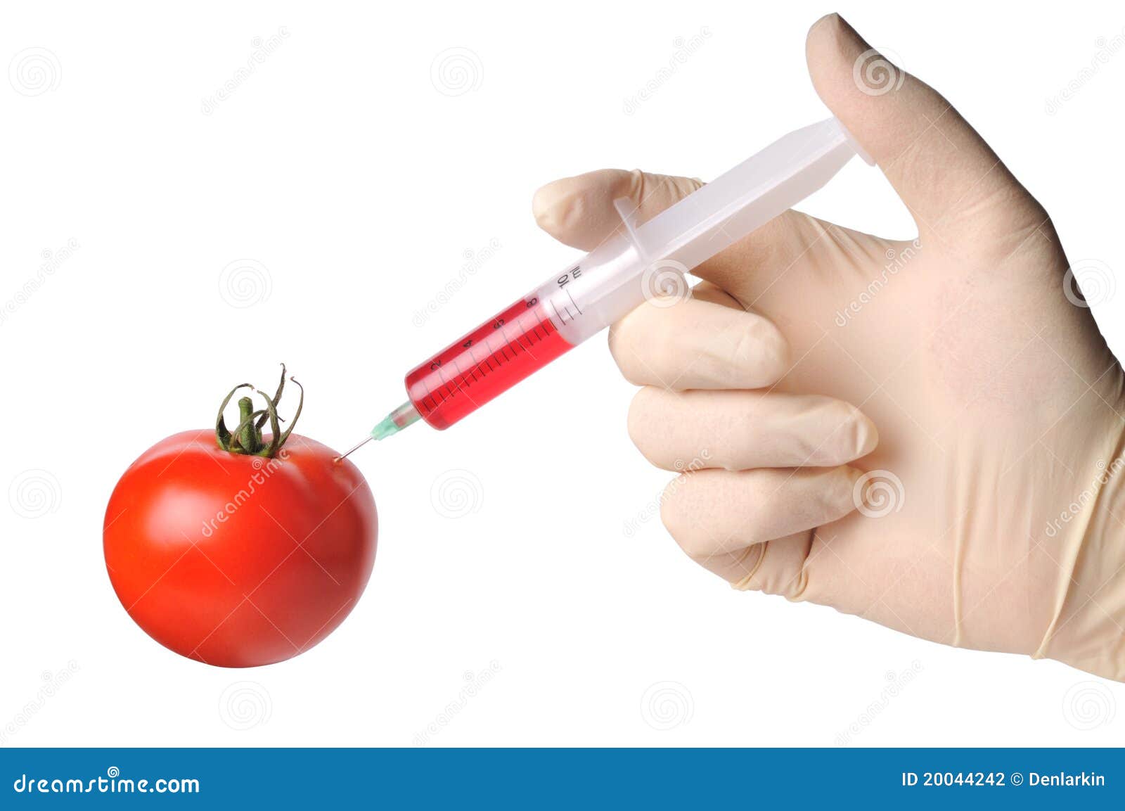 Hand with Syringe Make Injection To Tomato Stock Photo - Image of ...