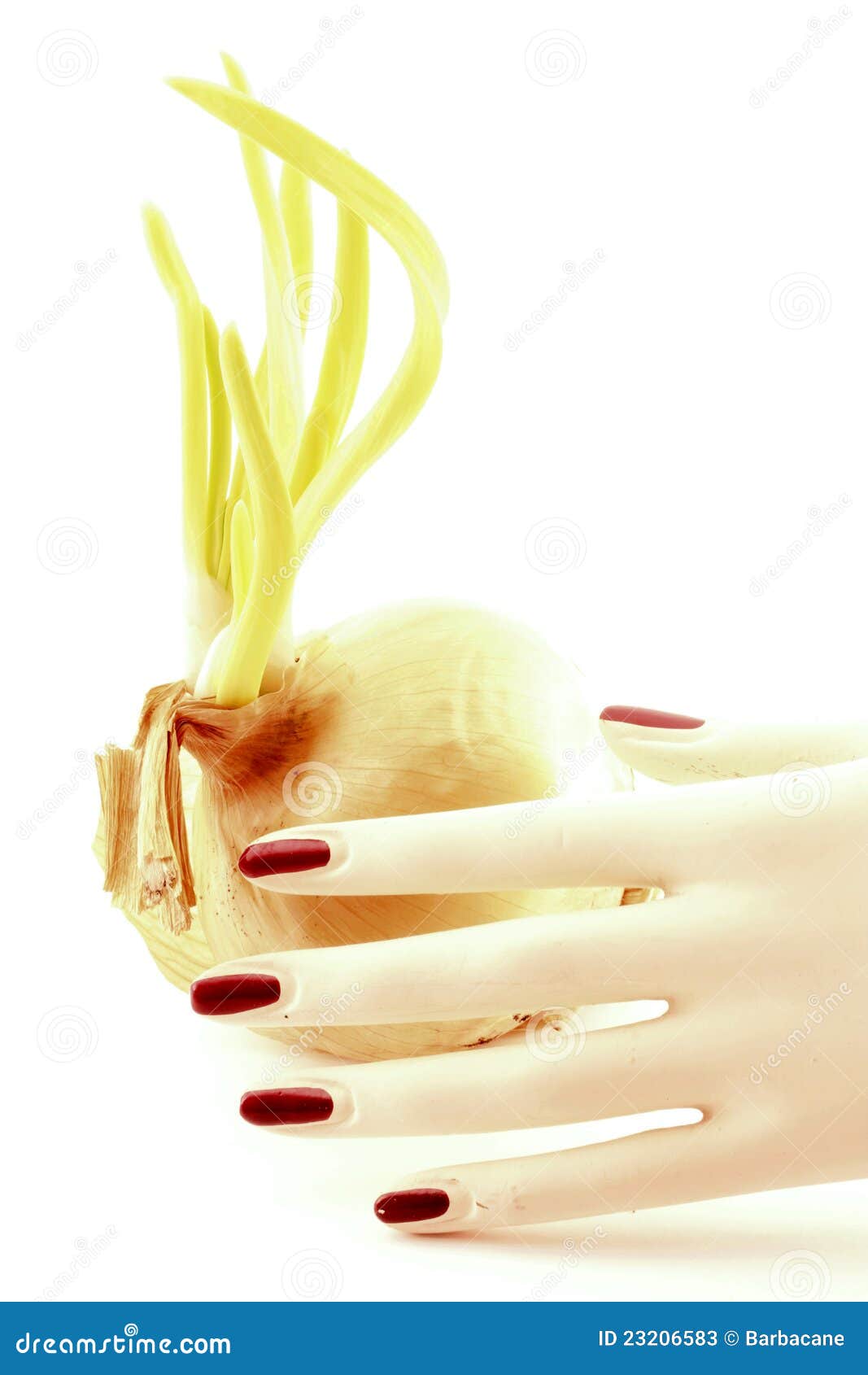 Hand takes onion. stock image. Image of onion, hand, shop - 23206583