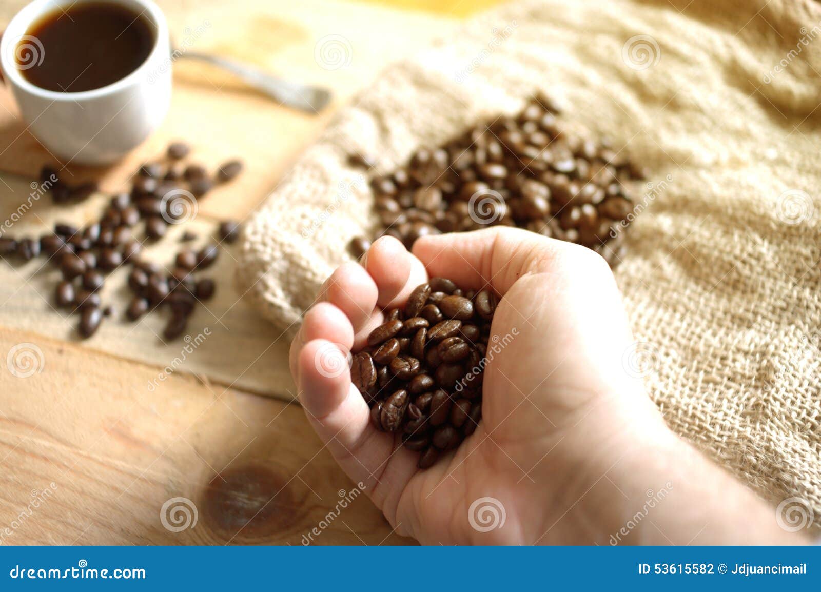 Hand taking coffee beans stock photo. Image of hand, food - 53615582