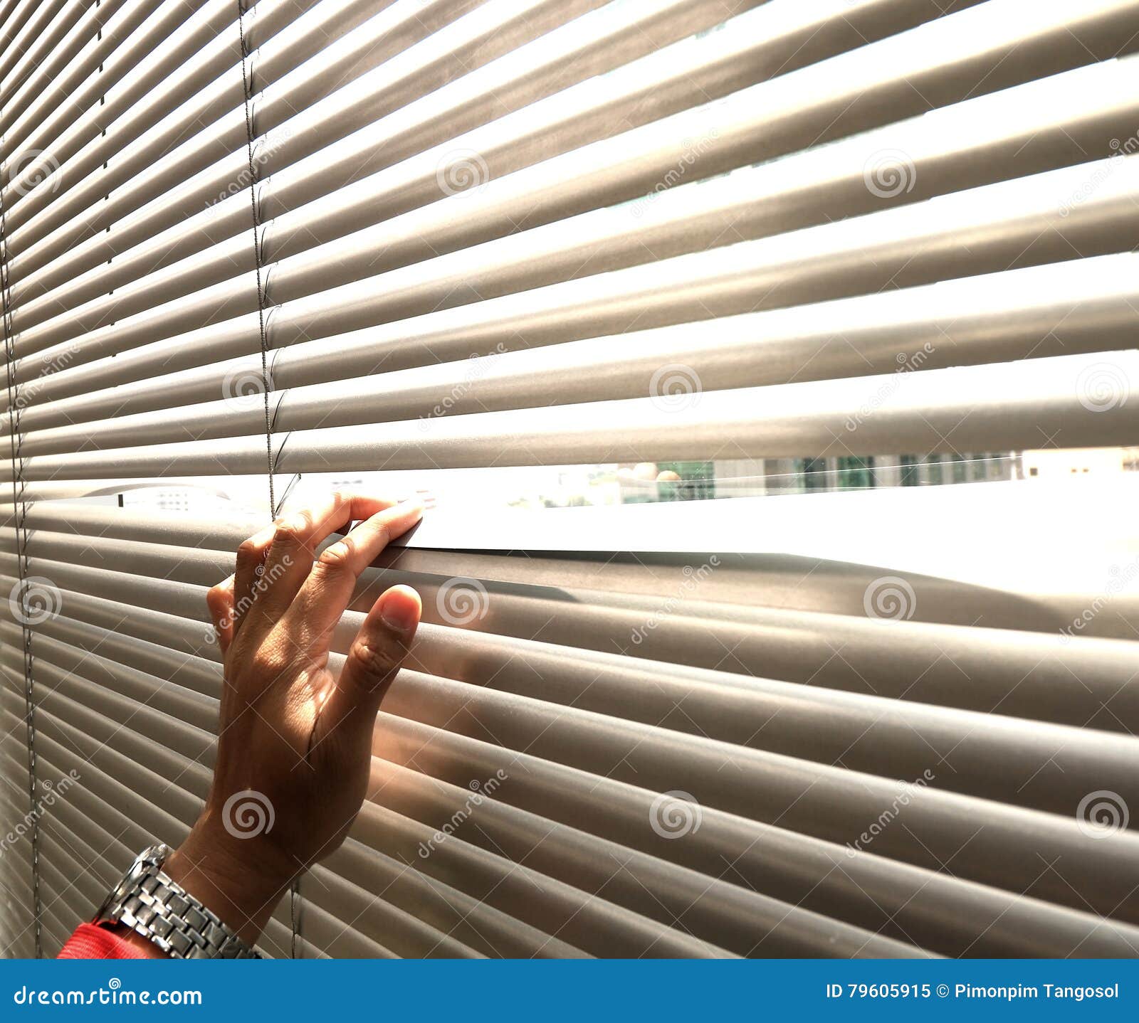 Peeking Through Window