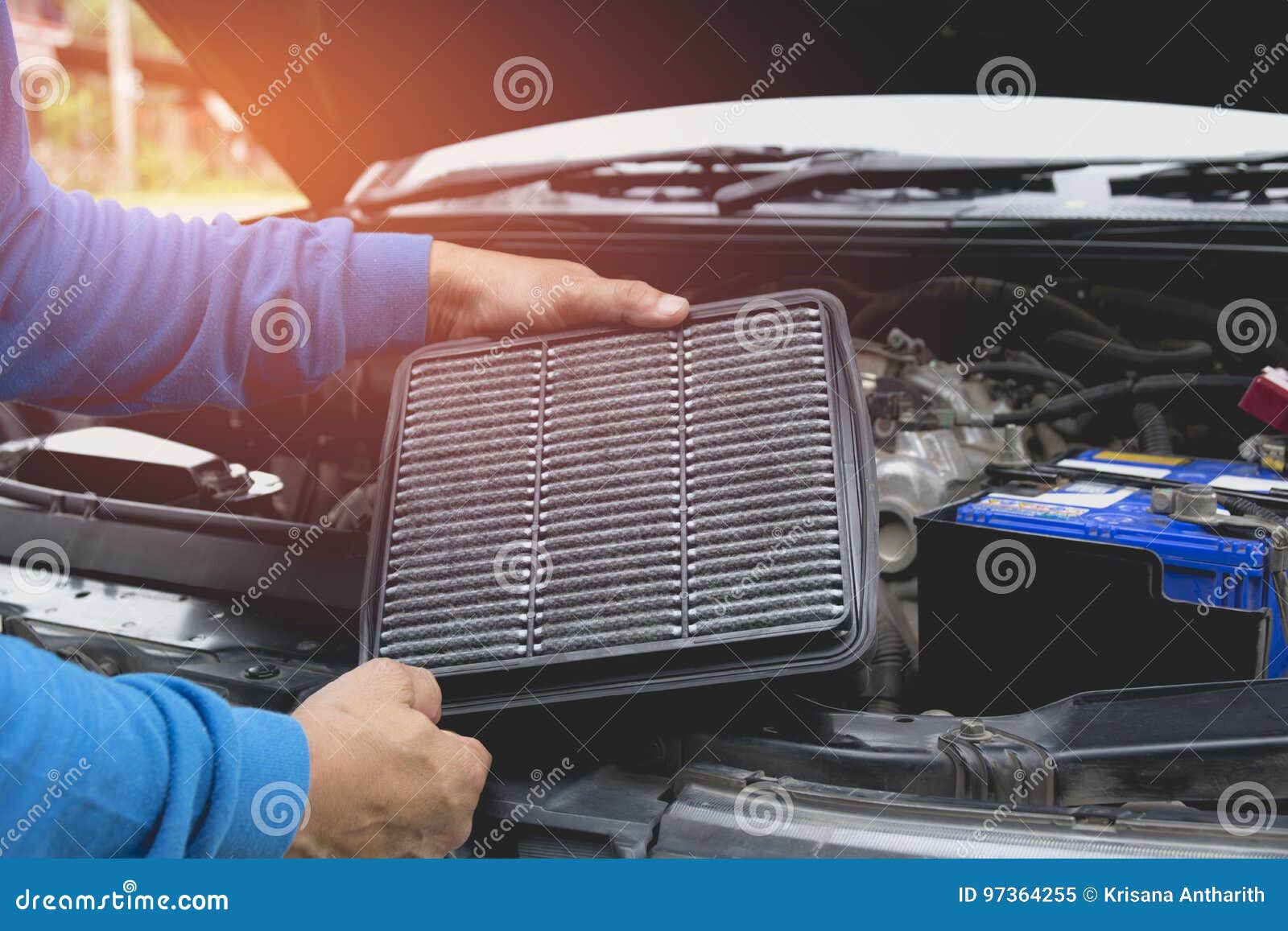 Hand of Technician Checking Engine of Car. Stock Image - Image of ...