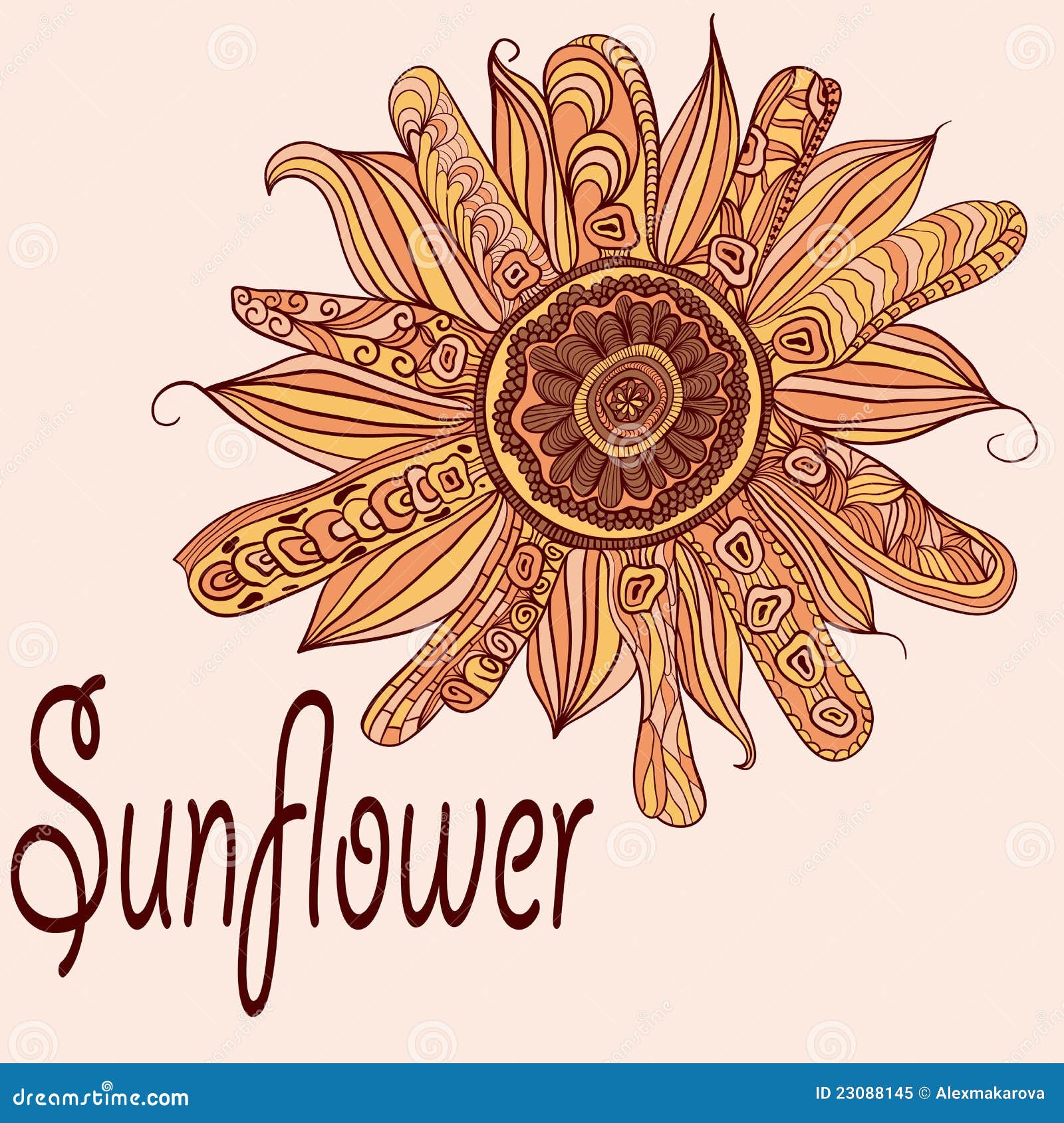 Hand tecknad solros vektor illustrationer. Illustration av blomma ...