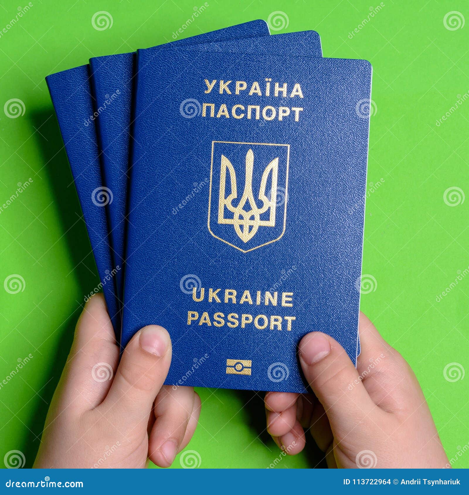 The Hand Of A Teenager Holds The Ukrainian Biometric Passport Green