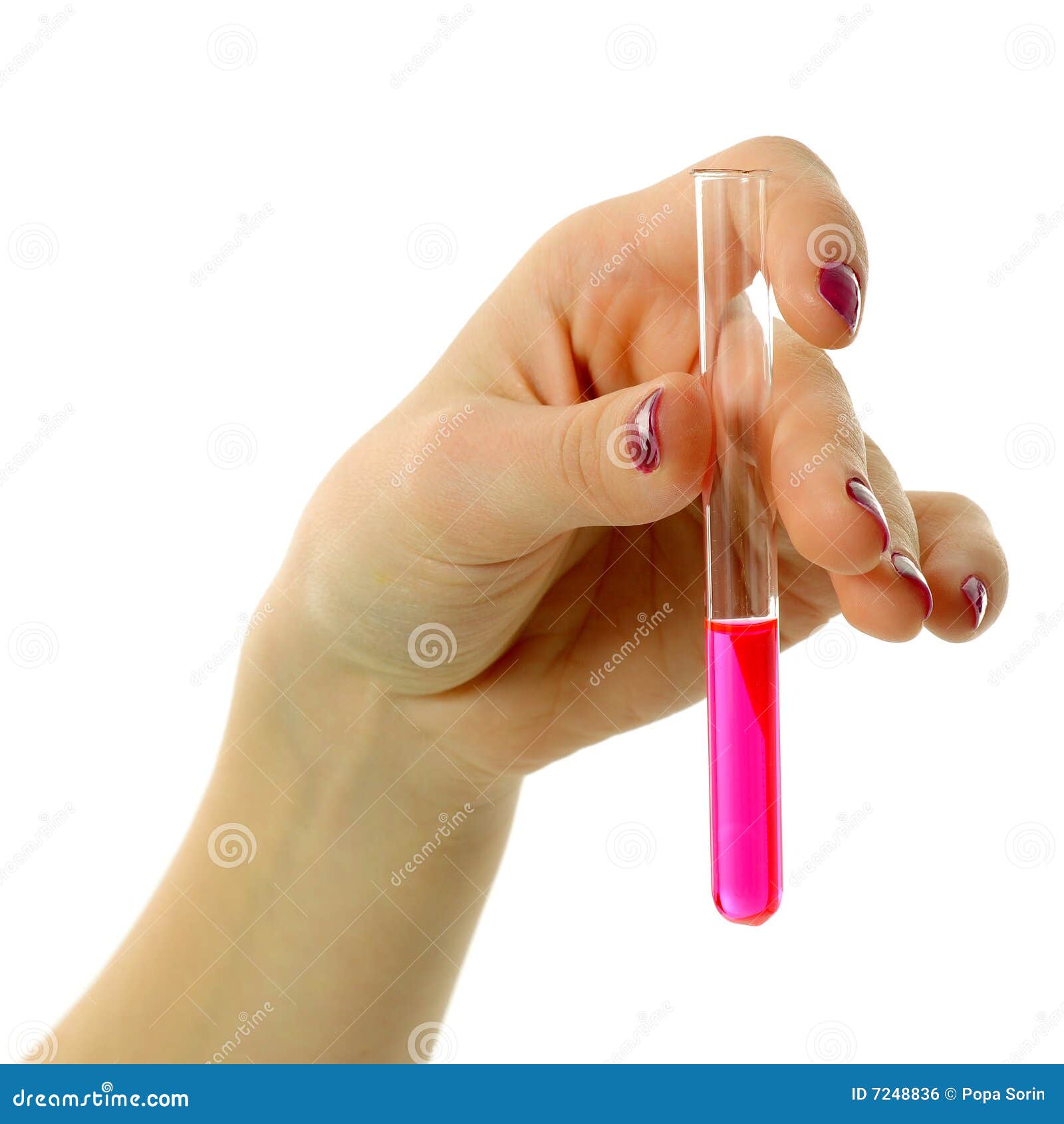 Hand with test tube stock photo. Image of science, lady - 7248836