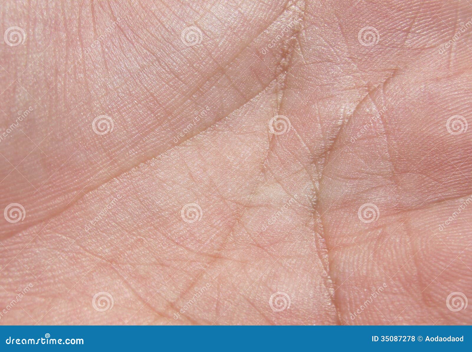 Hand texture stock photo. Image of begging, religion - 35087278