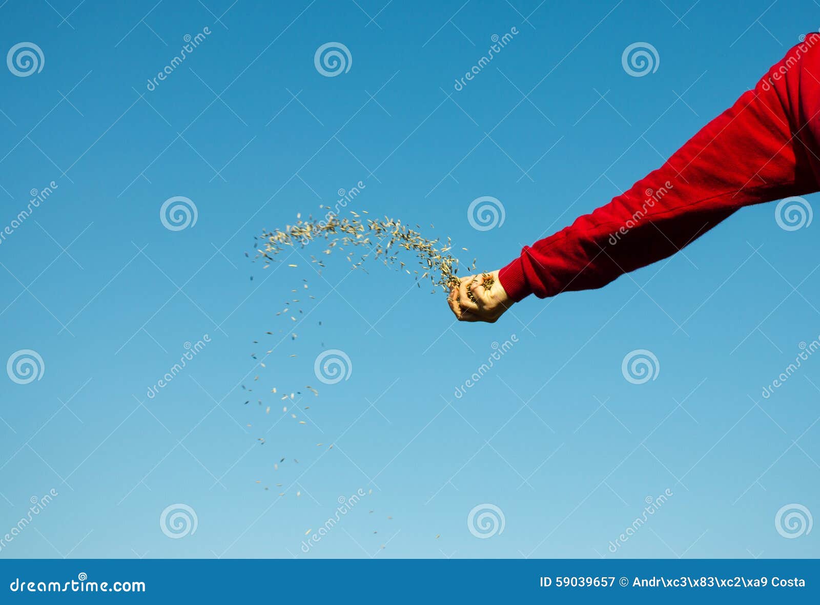 Hand Throwing Seeds stock image. Image of seeds, oatmeal - 59039657