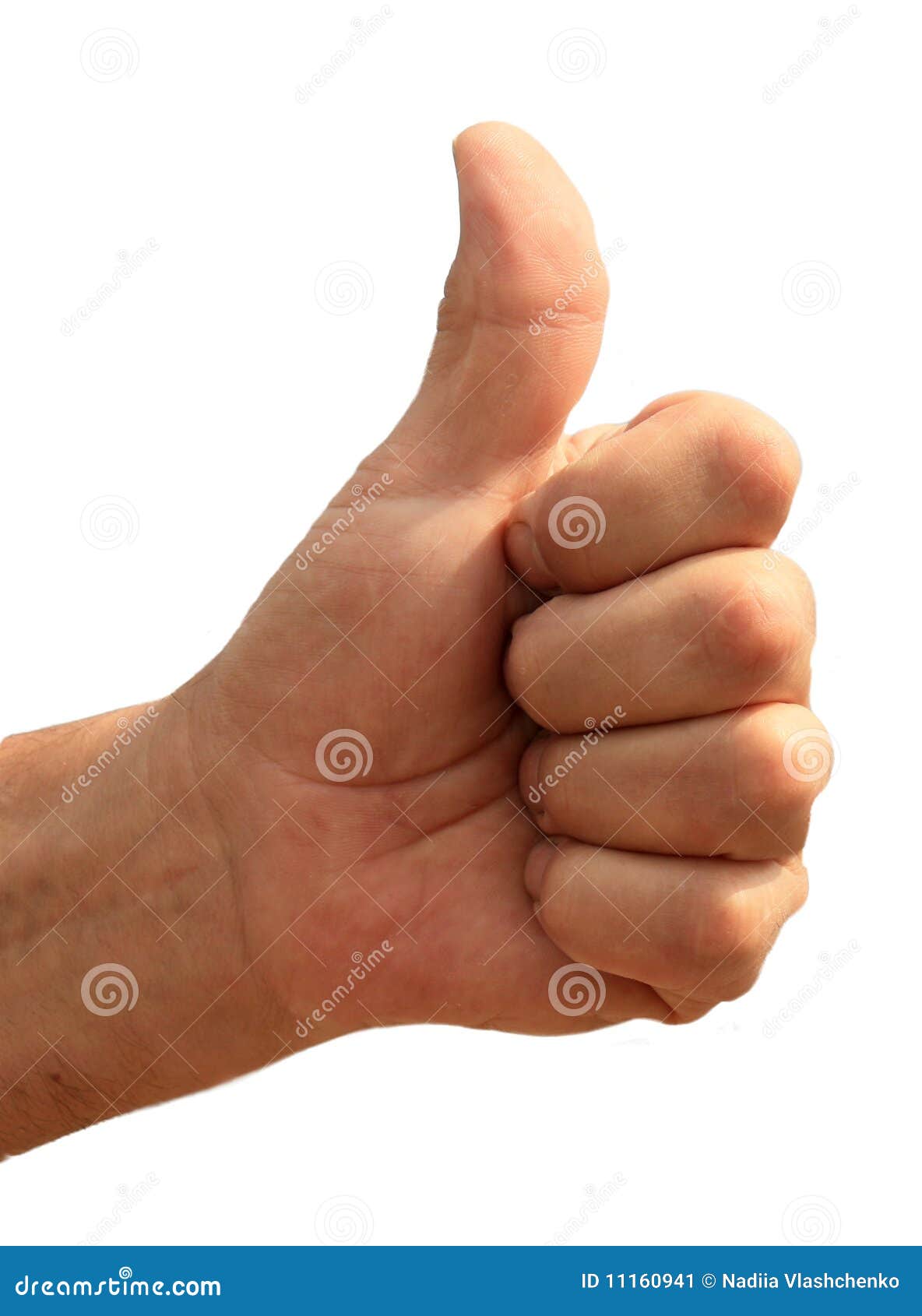 Hand with thumb up stock image. Image of human, agree - 11160941