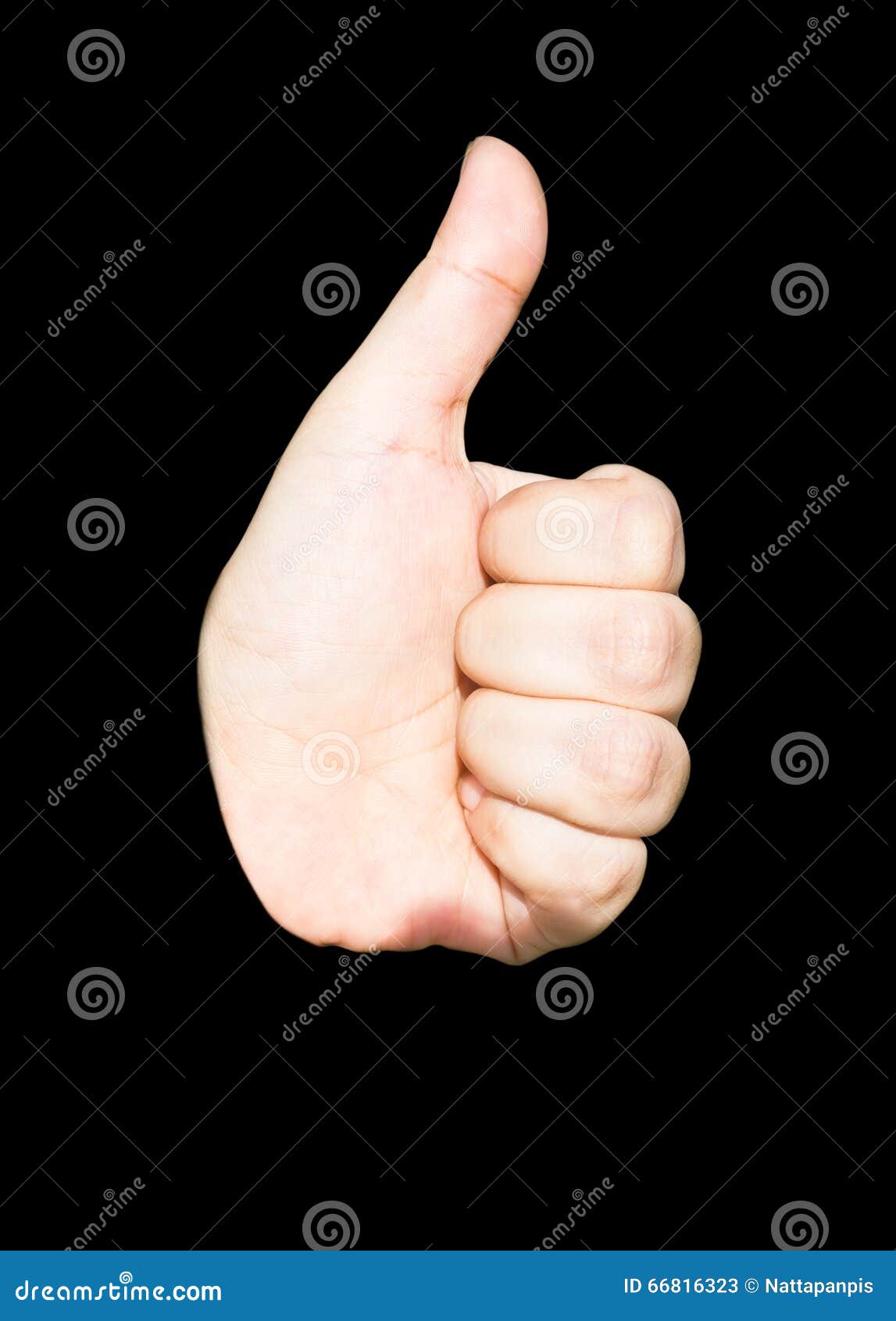 Hand with thumb up stock image. Image of thumb, concepts - 66816323