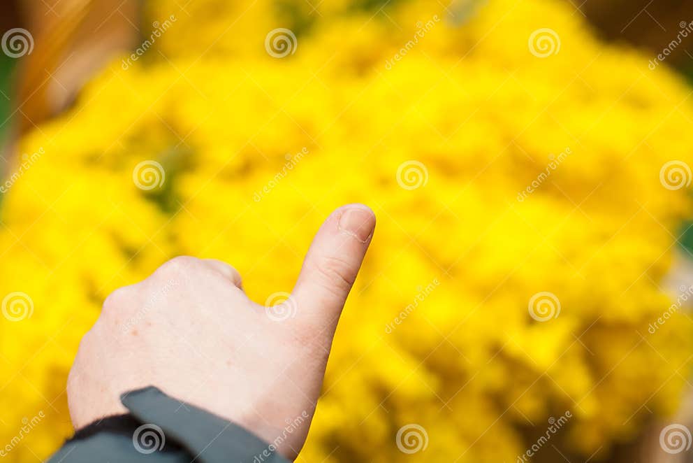 Hand thumb up on yellow stock image. Image of finger - 89329771
