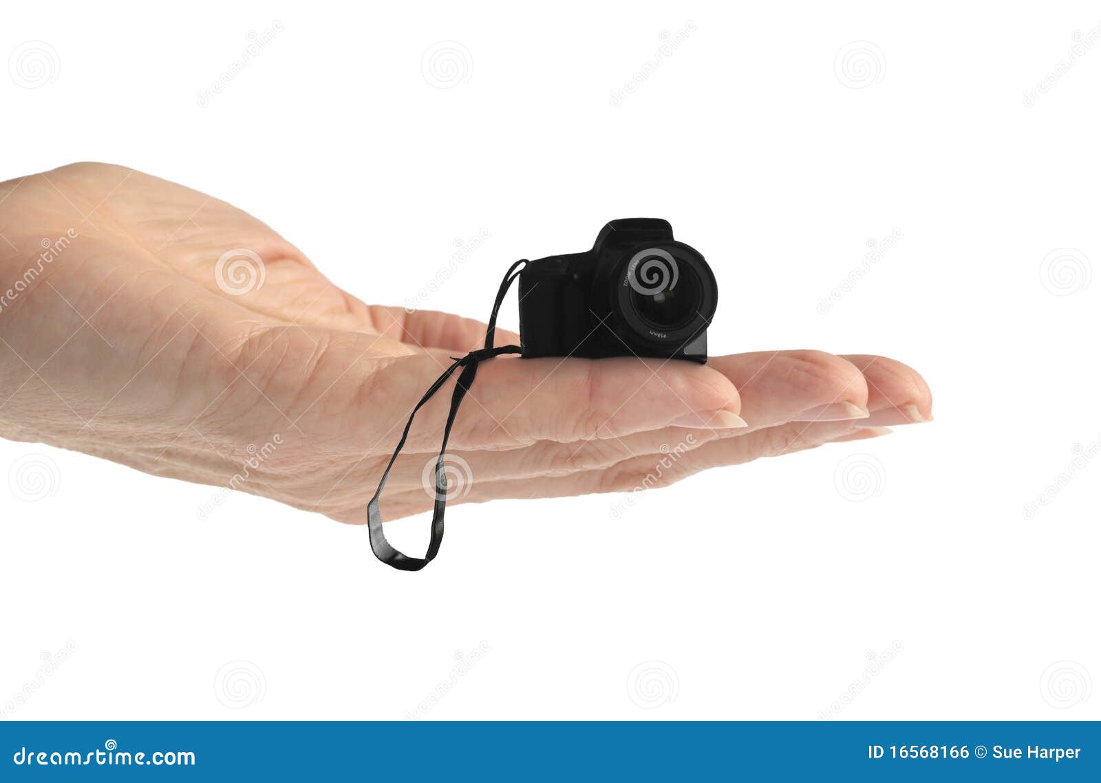 Hand Tiny Camera (isolated on White) Stock Photo - Image of giant ...