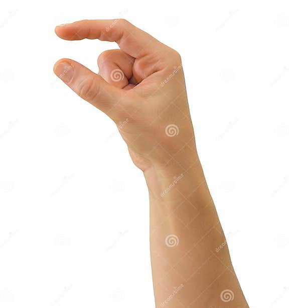 Hand to hold small object stock photo. Image of hold - 26218304