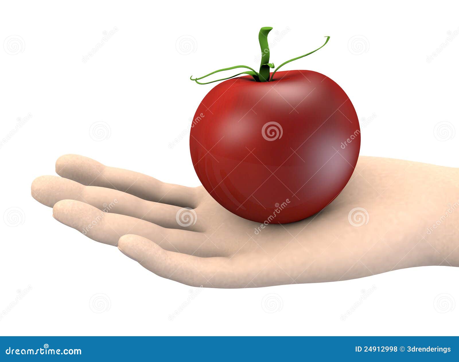 Hand with tomato stock illustration. Illustration of hold - 24912998
