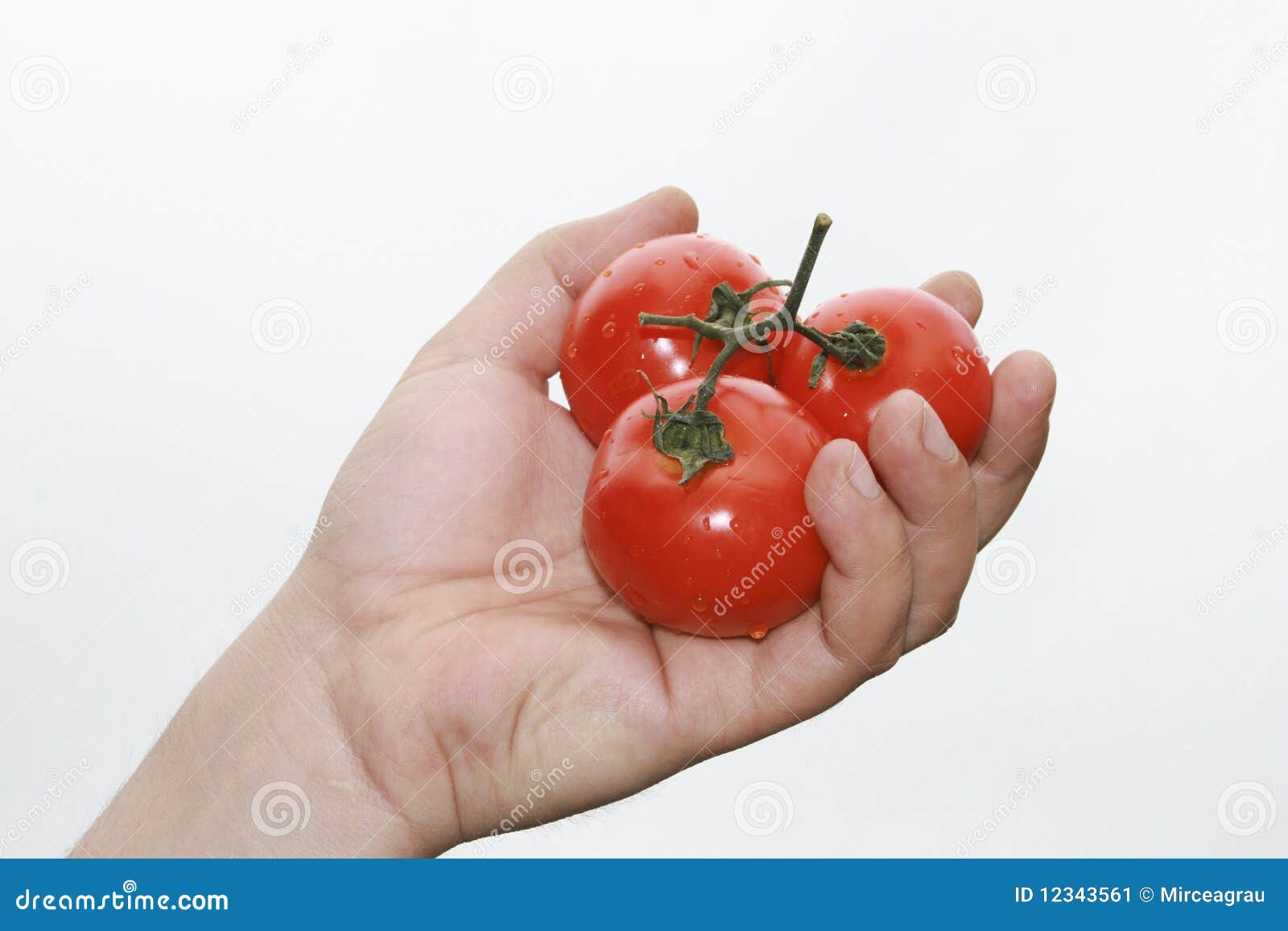 Hand with tomatoes stock image. Image of environment - 12343561