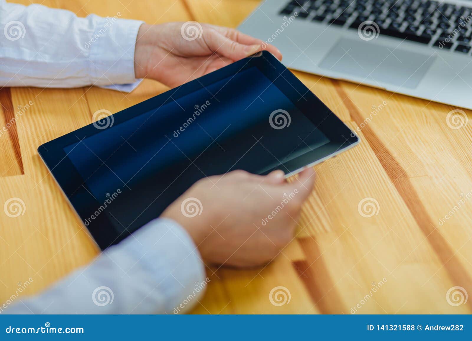 View Of Big Leave From Below In Rainforest Stock Photography ...