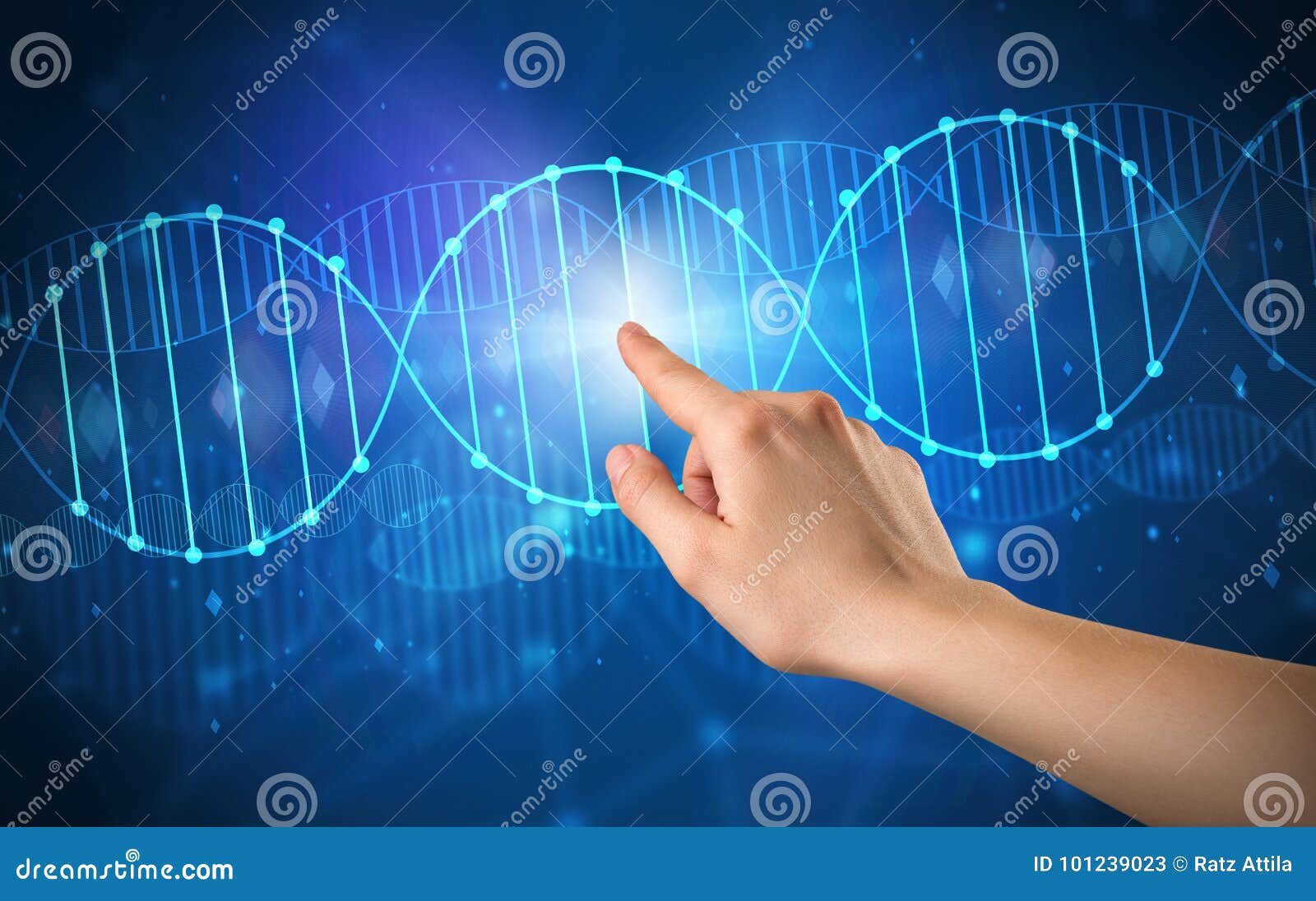 Hand touching DNA molecule stock image. Image of innovation - 101239023