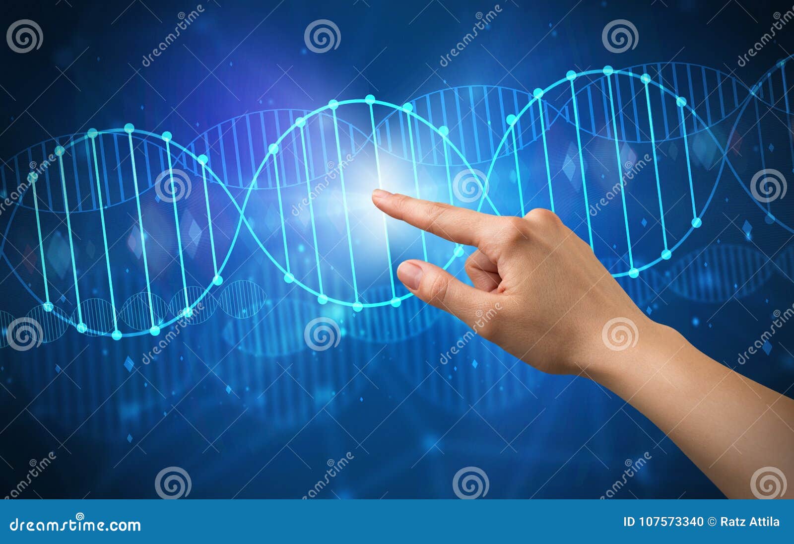Hand touching DNA molecule stock photo. Image of chromosome - 107573340