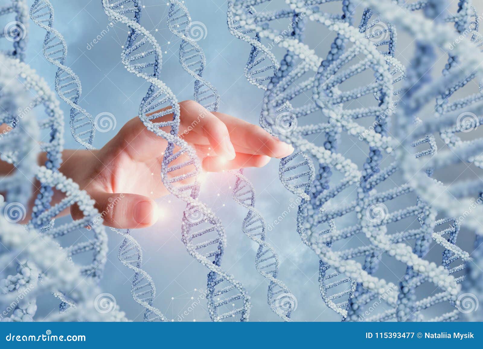 Hand Touching DNA Molecules . Stock Image - Image of female, adult ...