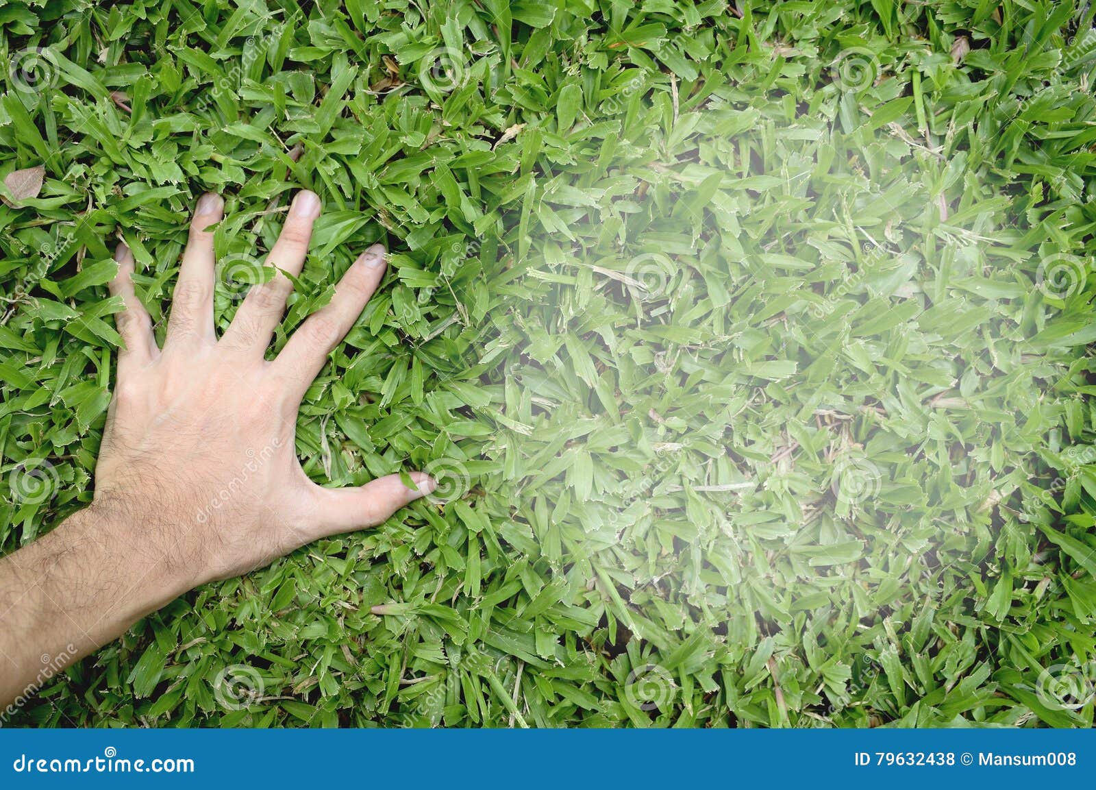 Hand touching green grass stock photo. Image of environment - 79632438