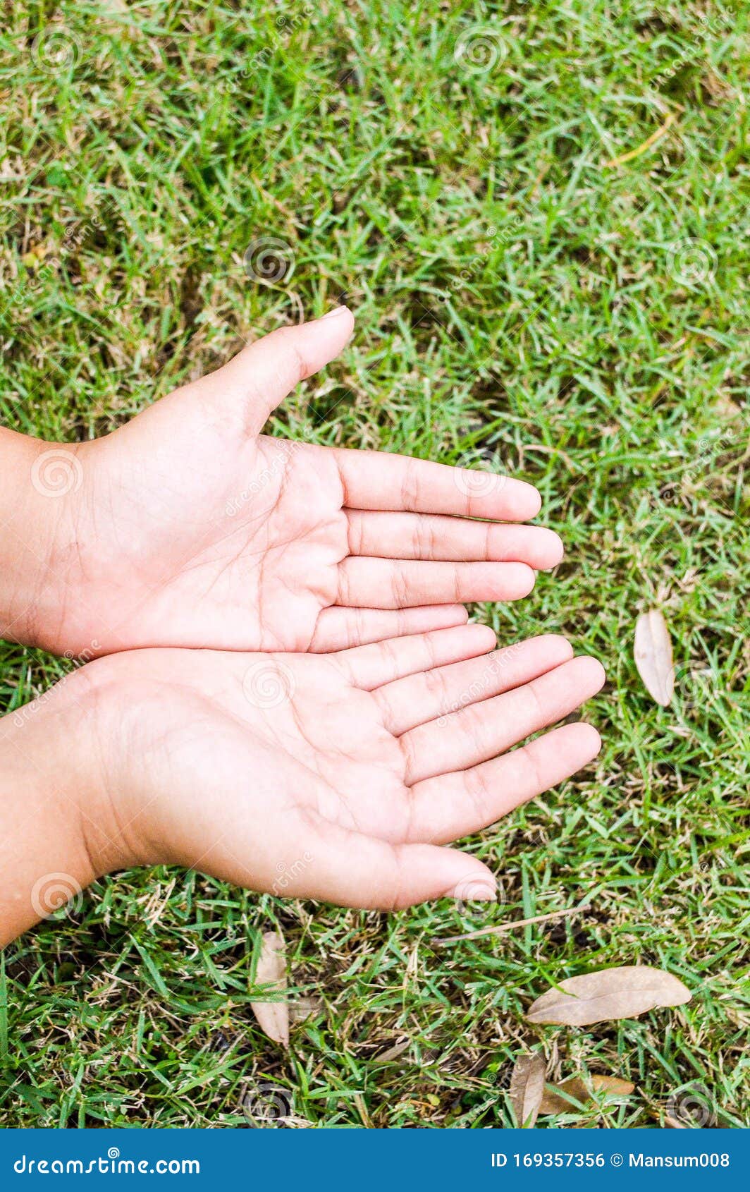 2,793 Hand Touching Grass Photos - Free & Royalty-Free Stock Photos ...