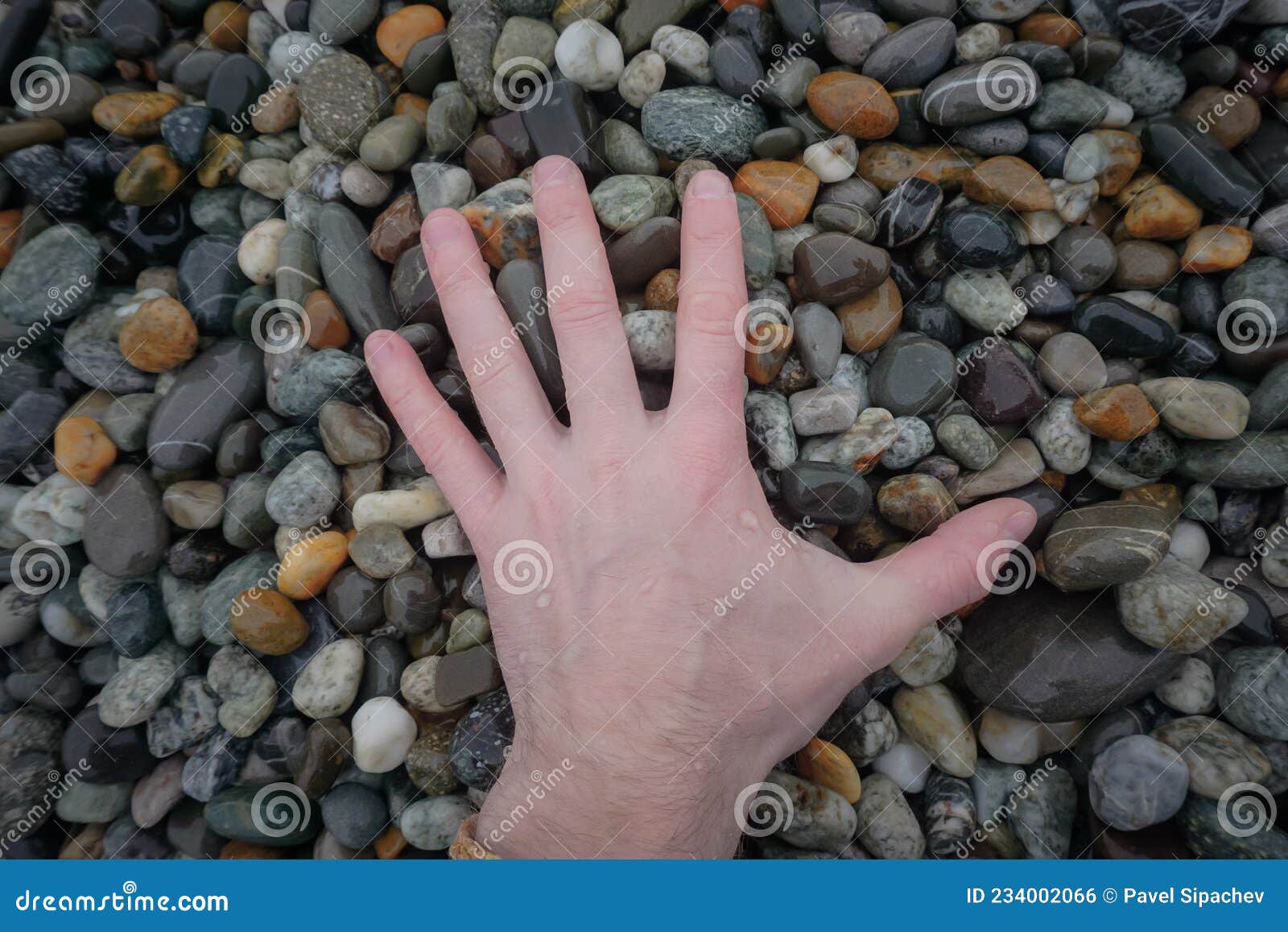 Hand Touching Stones by the Sea Stock Photo - Image of outdoor, life ...
