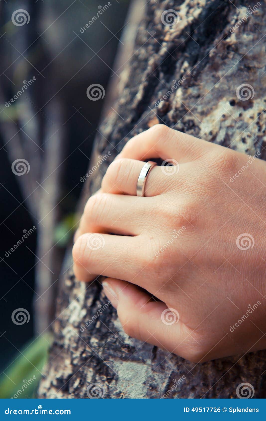 Hand touching tree stock photo. Image of beauty, copy - 49517726