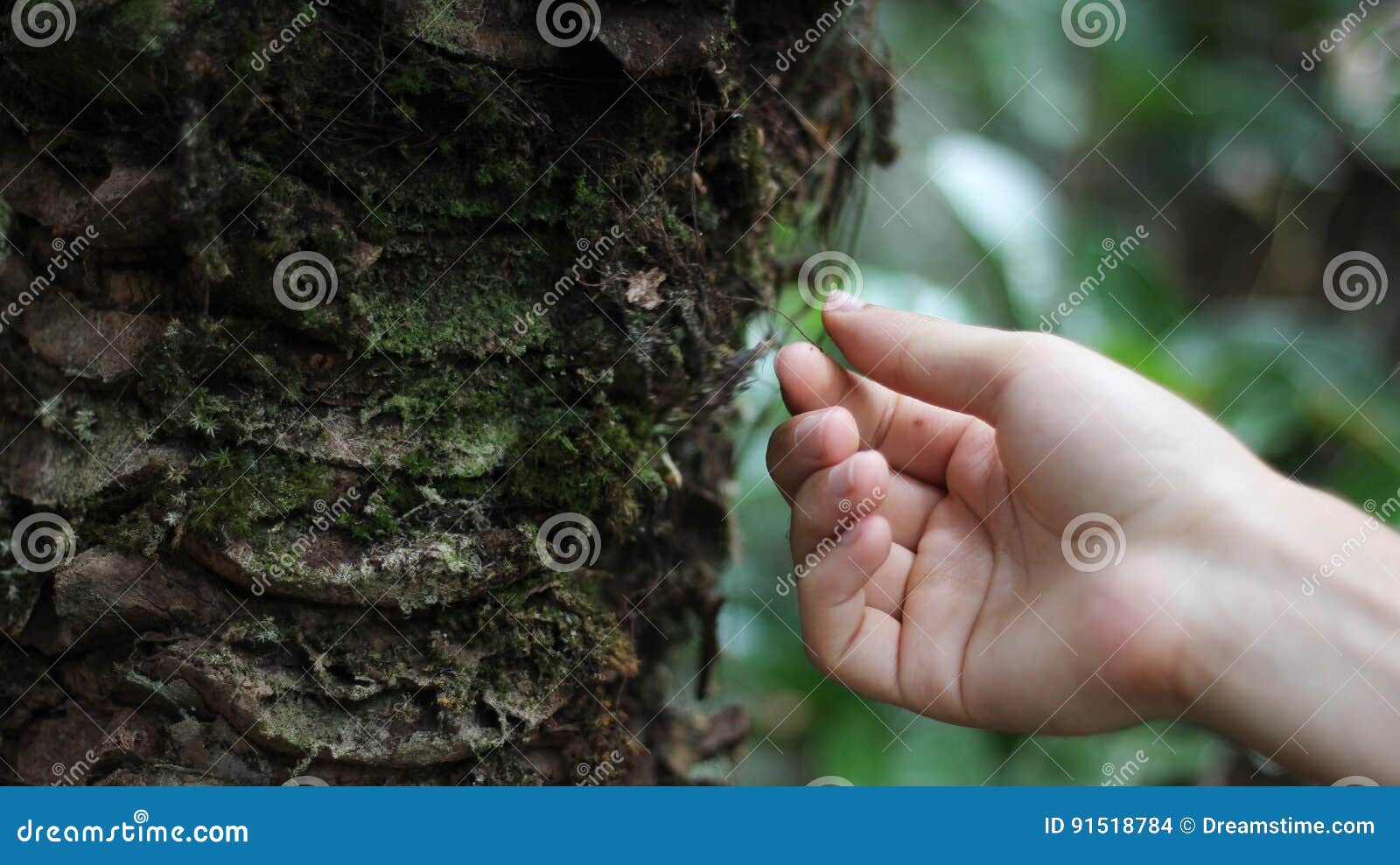 Hand touching tree stock photo. Image of sand, shadows - 91518784